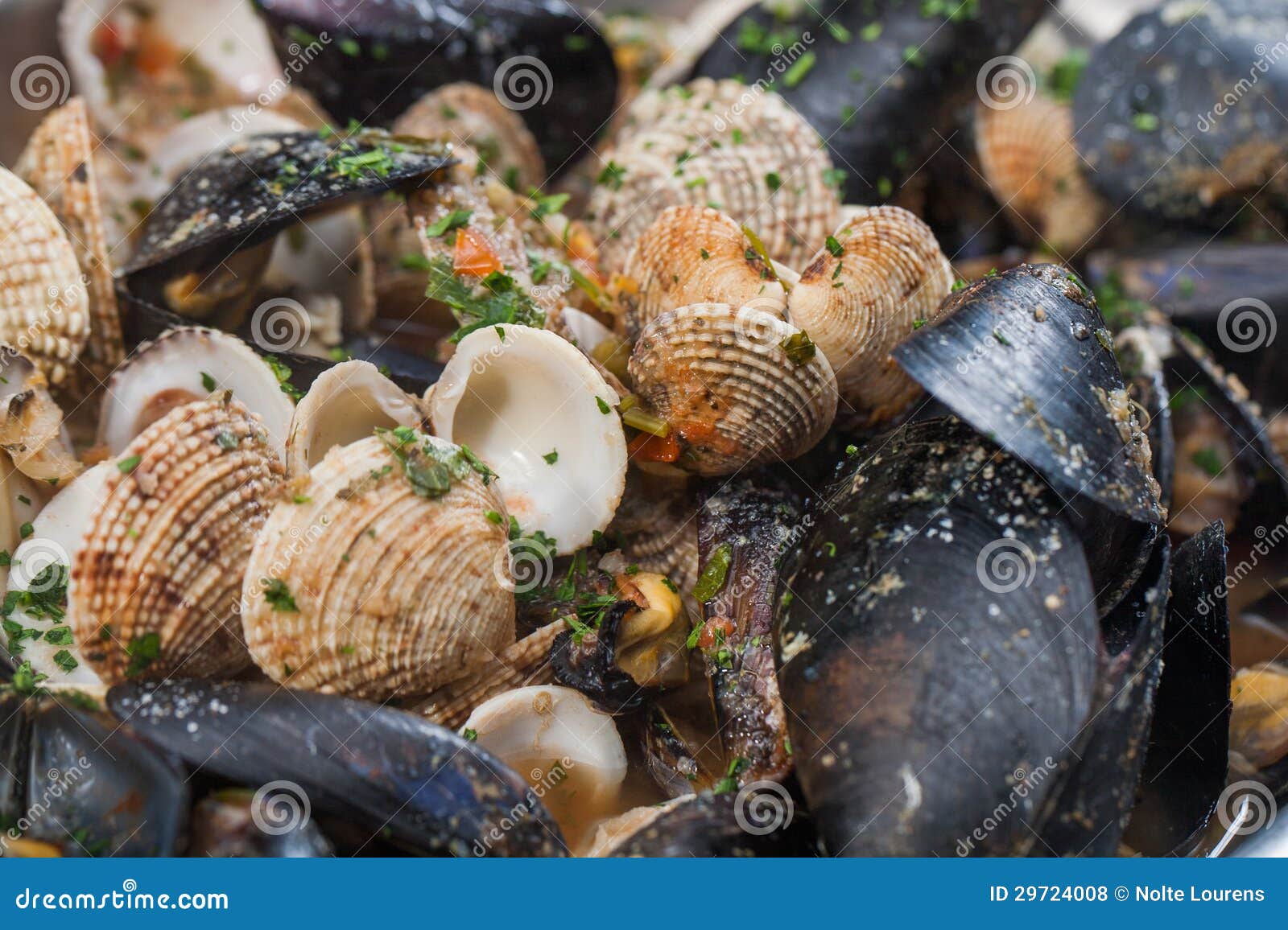 Shell fish in a bowl. stock photo. Image of closeup, bread - 29724008