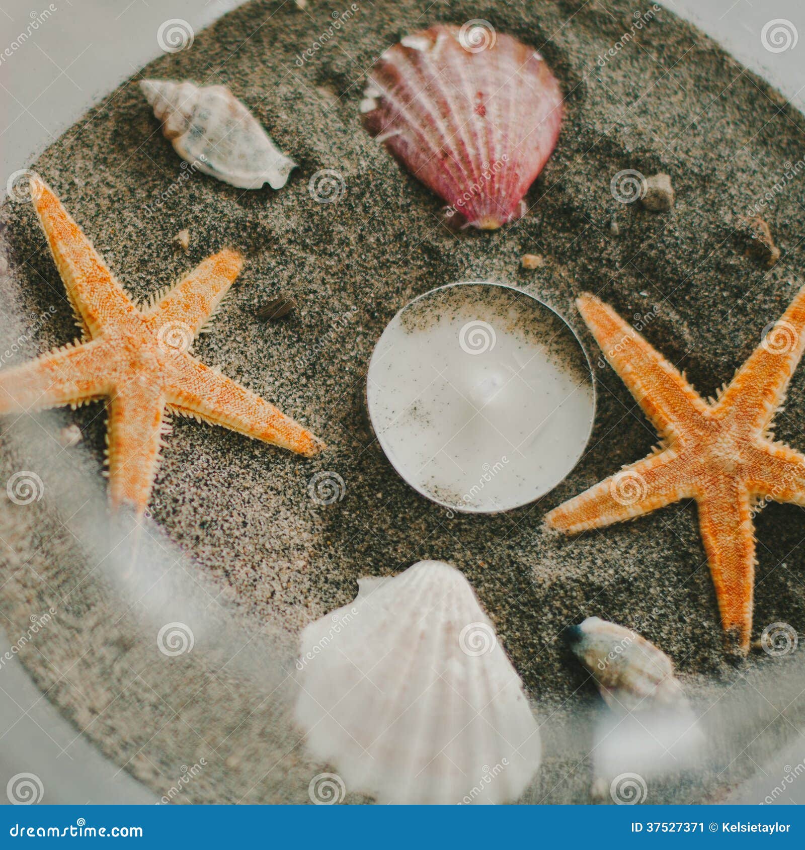 Bowl of Ocean Objects stock image. Image of group, decorative - 37527371