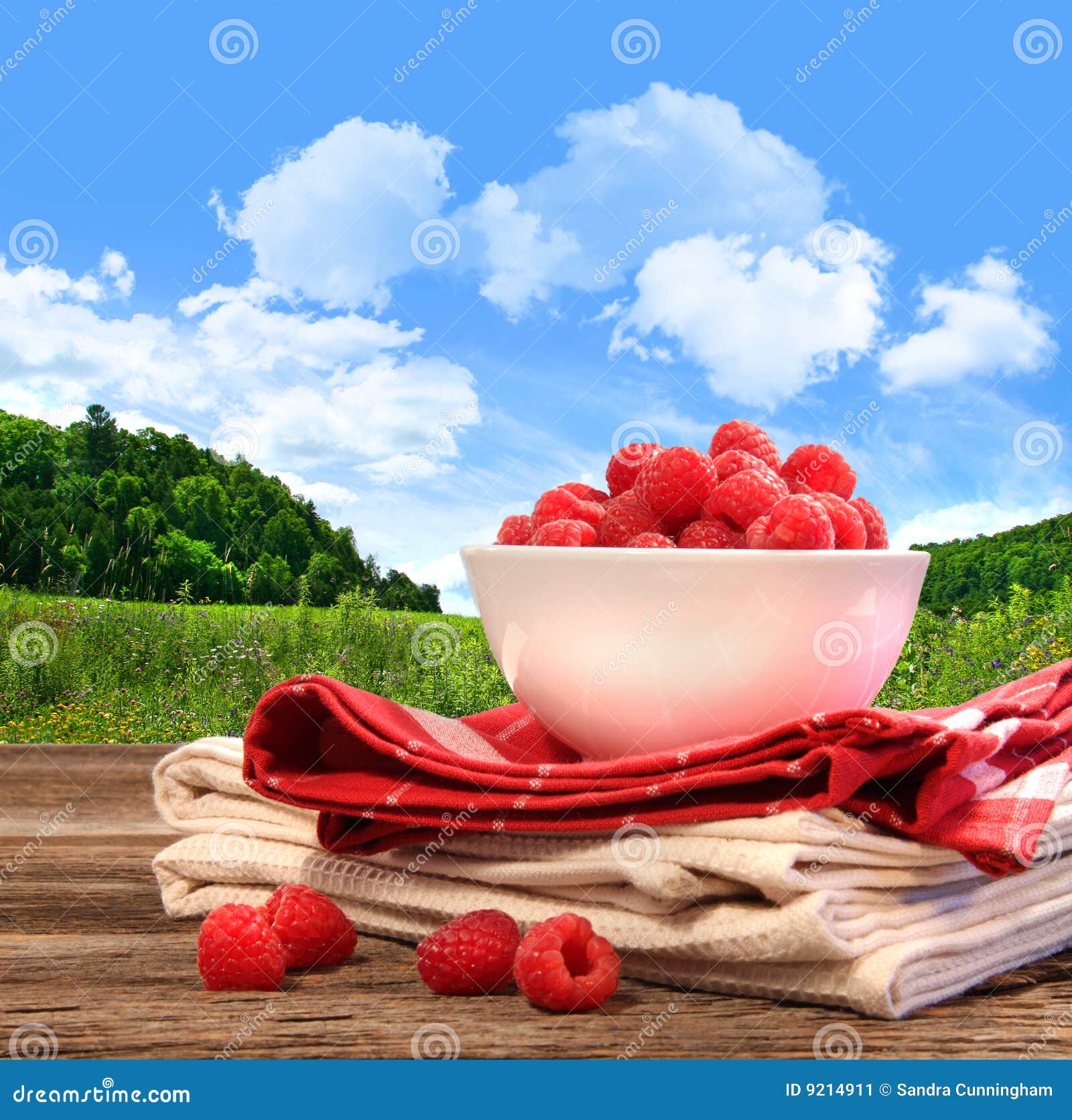 Bowl of Raspberries on Rustic Table Stock Image - Image of green, fruit ...