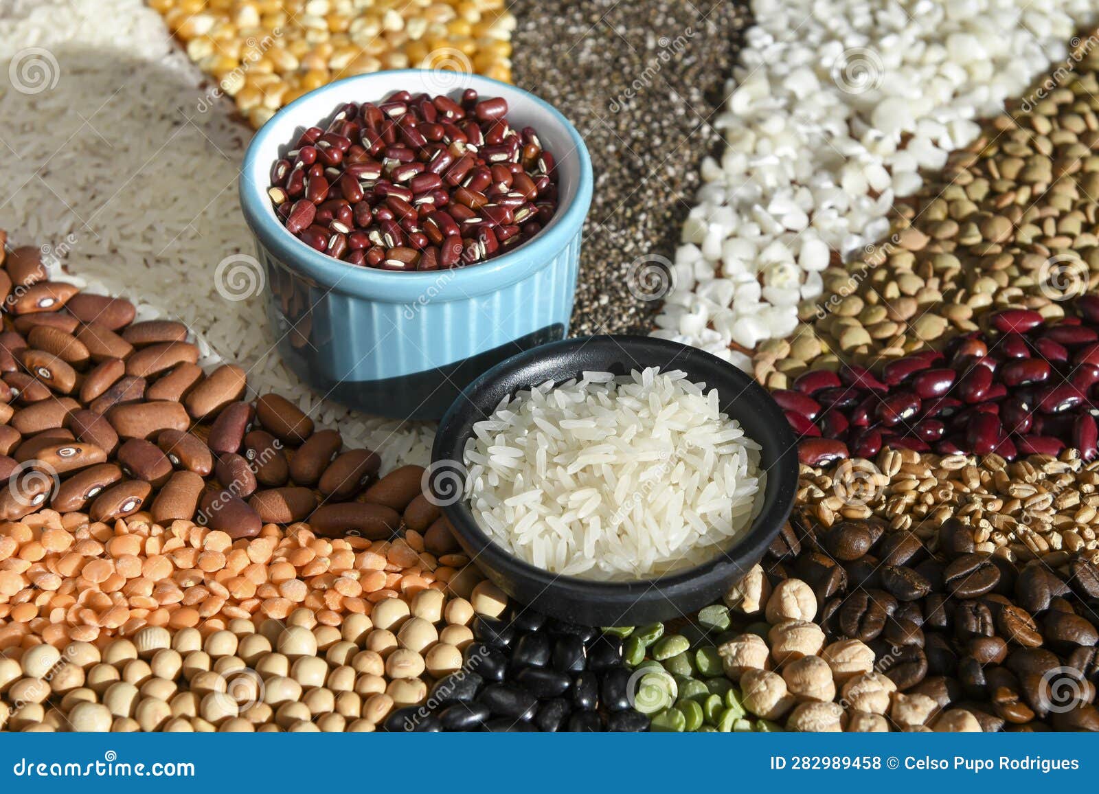 Bowl with Raw White Rices and Beans on Various Seeds Grain Stock Photo ...