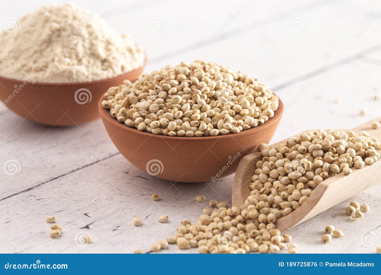 Bowl of Sprouted Sorghum and Sorghum Flour on a Bright White Table ...