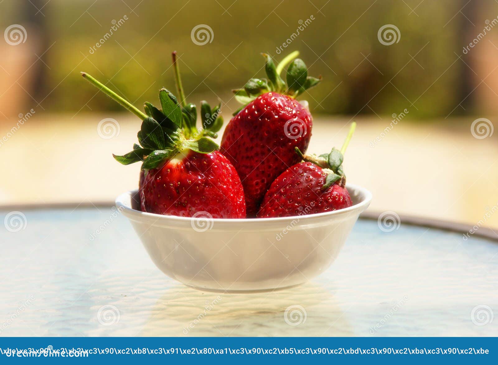 A bowl of strawberries stock photo. Image of leaf, strawberry - 24914006