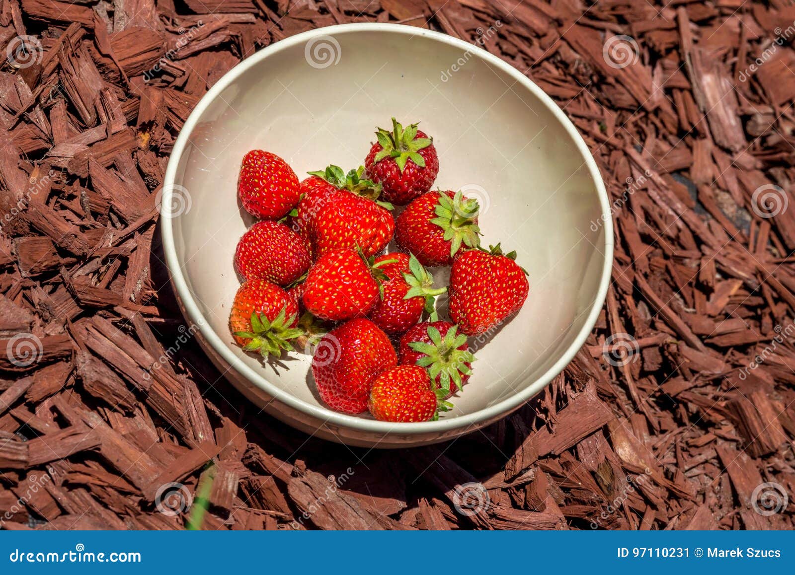 Bowl of Strawberries on Wood Mulch Stock Image - Image of view, fruit ...