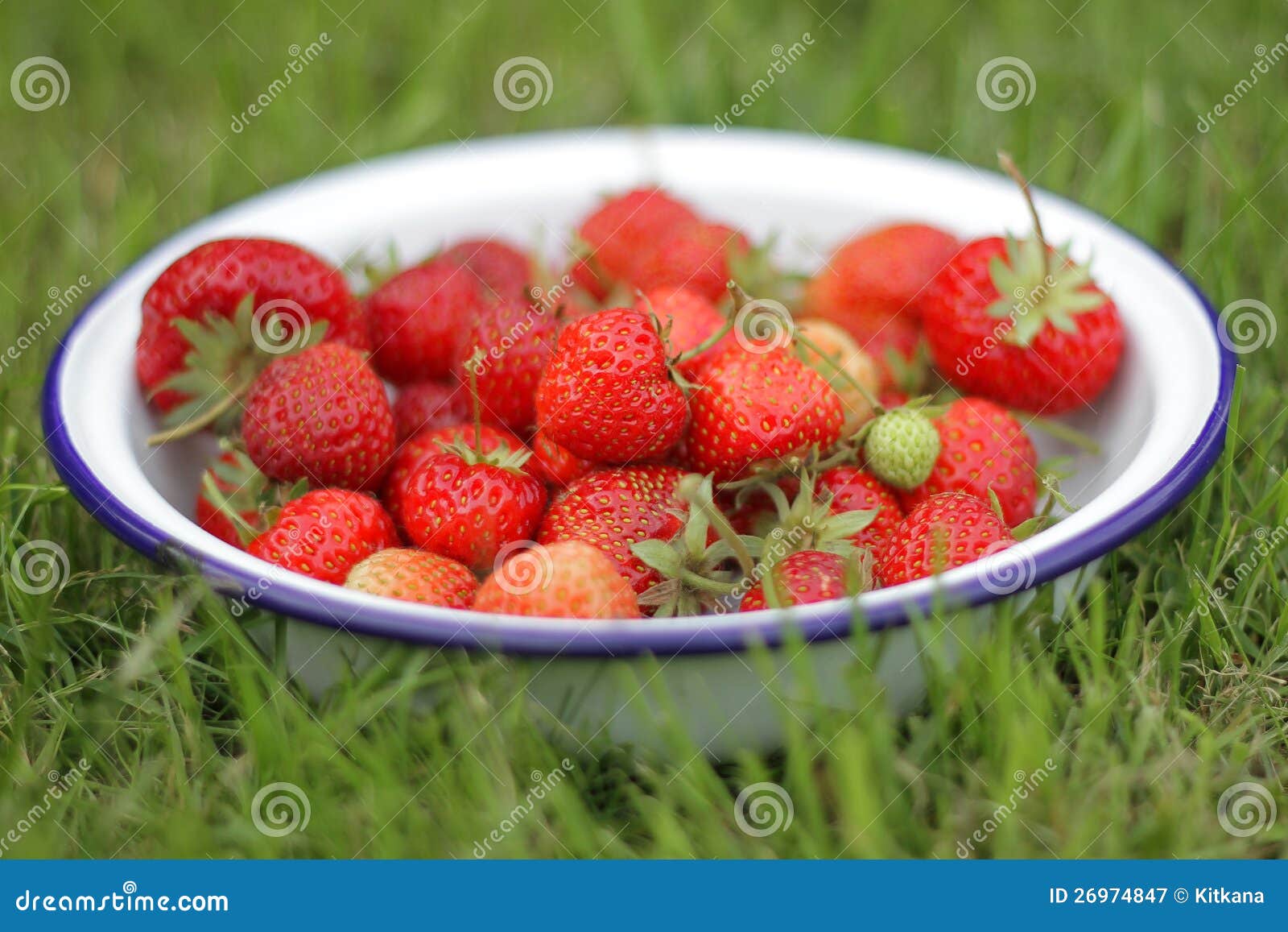 Bowl of strawberry s stock image. Image of light, copy - 26974847