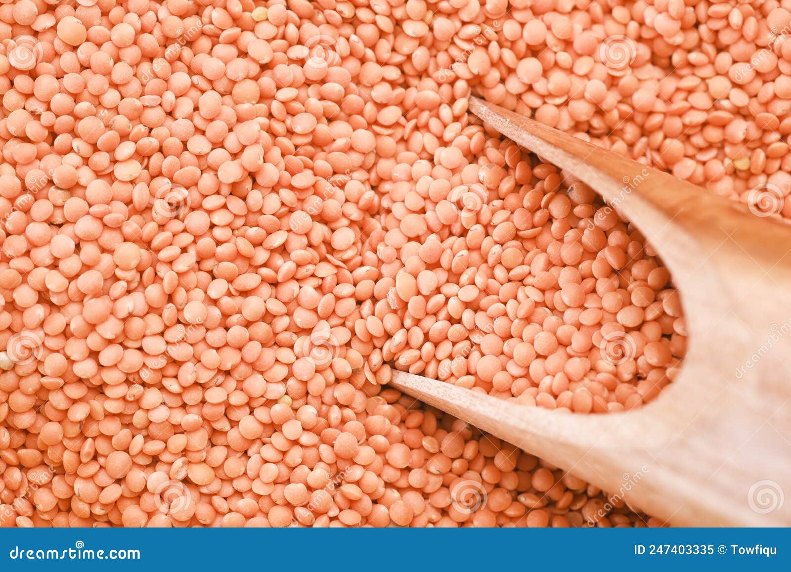 Bowl of Uncooked Dhal on White, Stock Image - Image of indian, protein ...