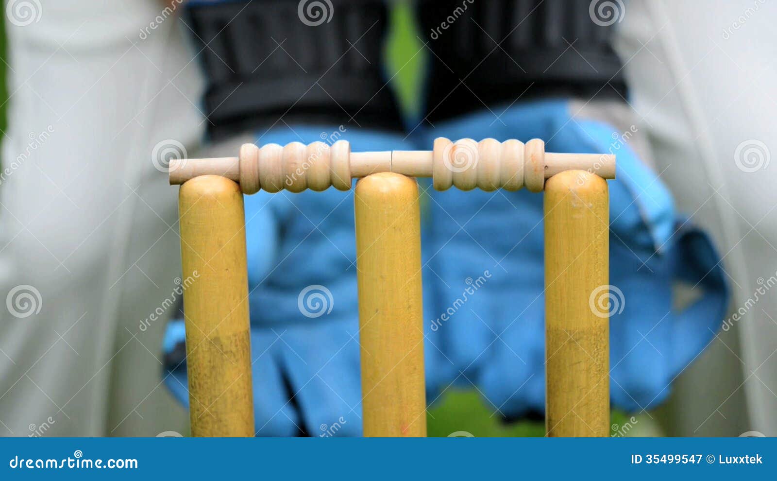 Bowled ! stock video. Video of game, score, sport, close - 35499547