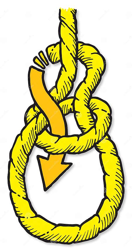 Bowline stock vector. Illustration of rope, orange, knots - 2964244