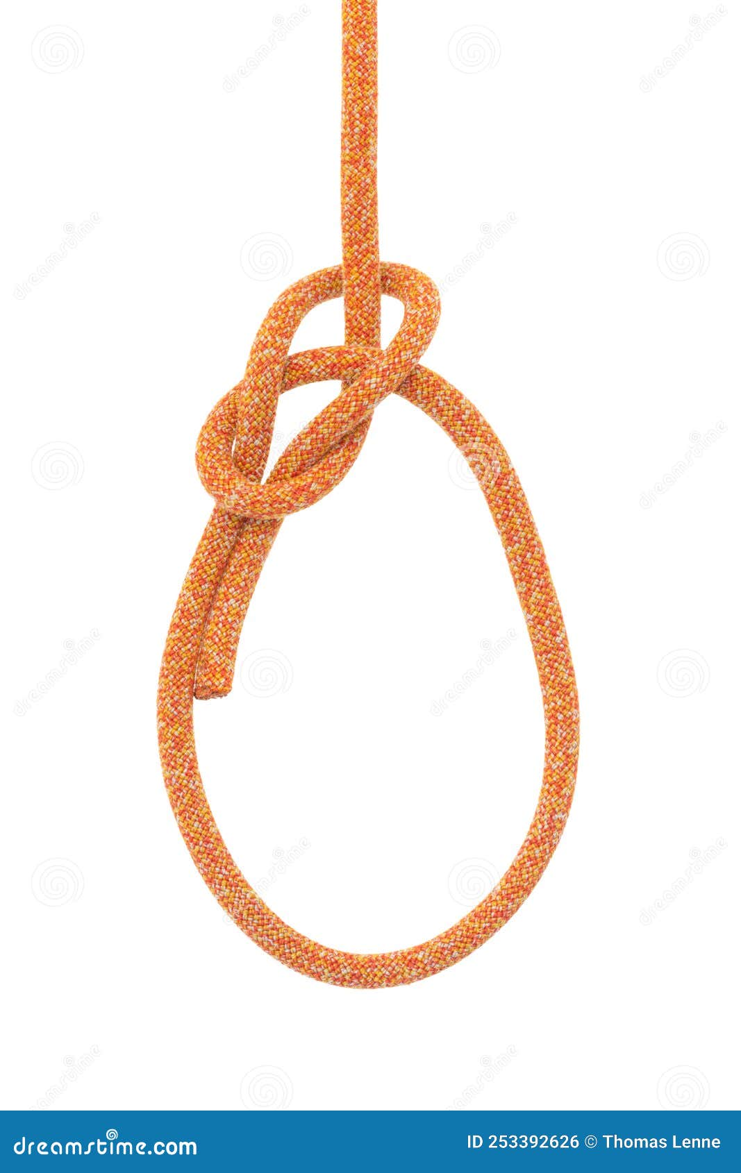 The bowline knot stock photo. Image of rope, sailing - 253392626