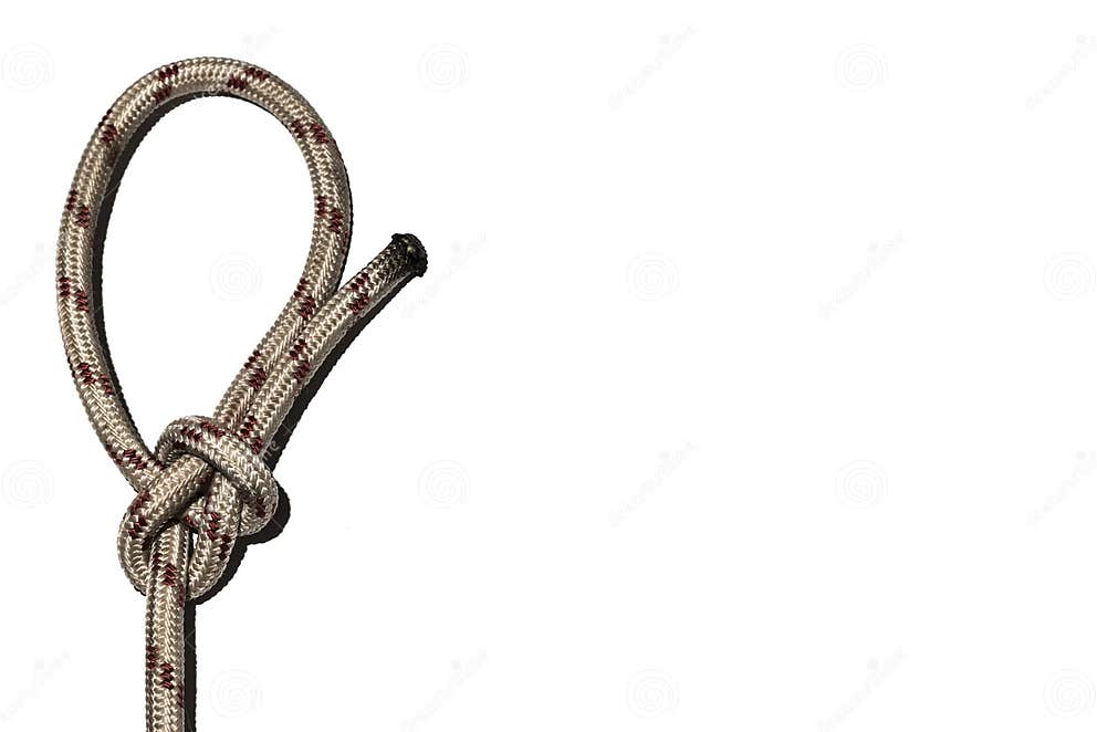 Bowline Knot on a Rope, Isolated White Background Stock Image - Image ...