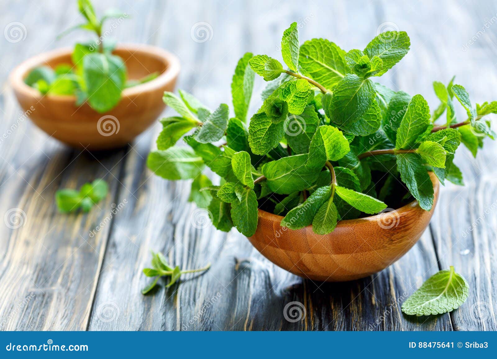 Bowls with Fresh Green Mint. Stock Image - Image of fresh, healthy ...