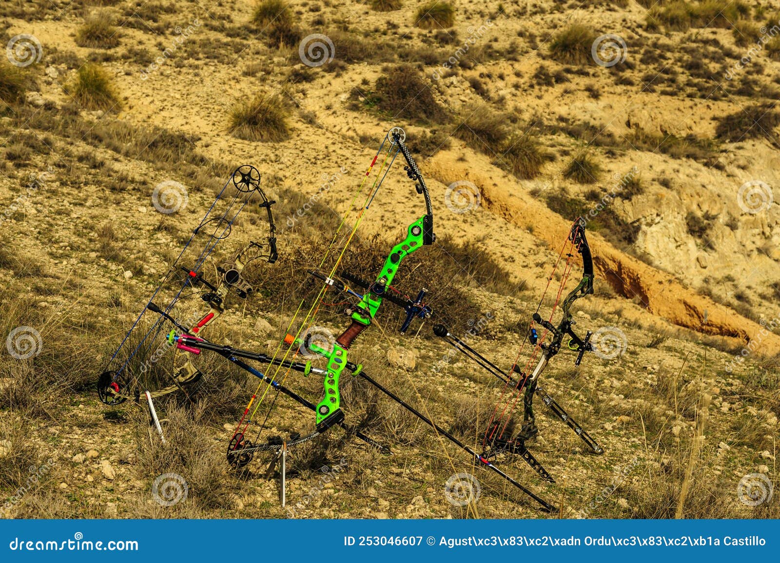 Bows Resting on the Ground, from the Shooting Range in a Sports ...