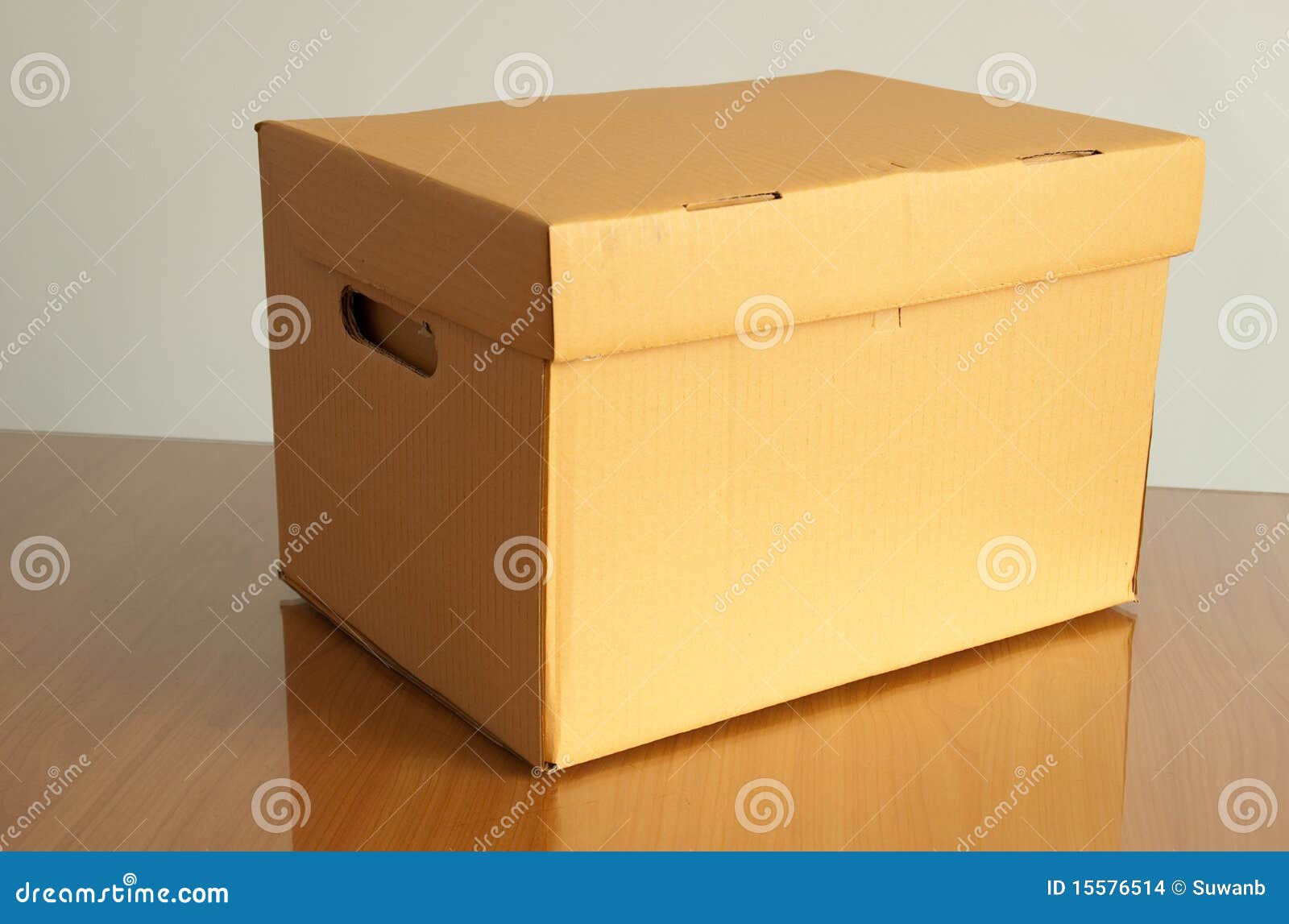 Box stock photo. Image of thailand, paper, keeping, closeup - 15576514