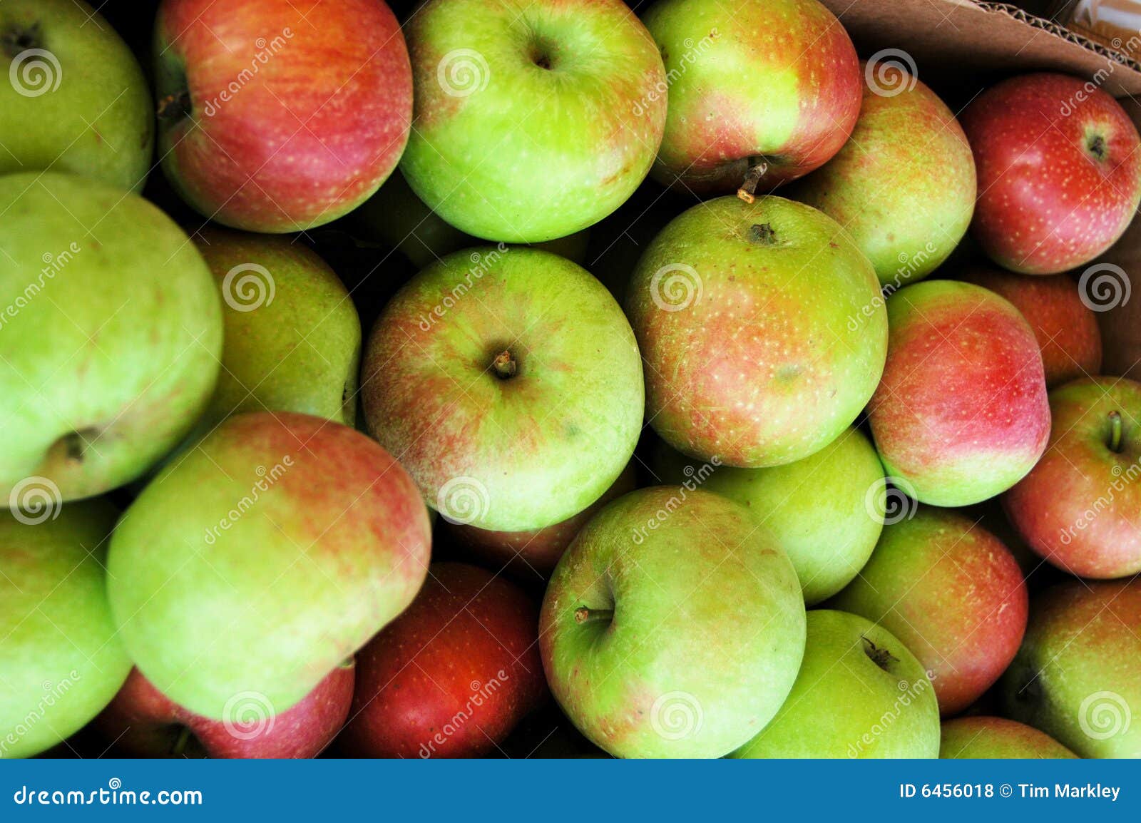 Box of apples stock photo. Image of apples, healthy, autumn - 6456018