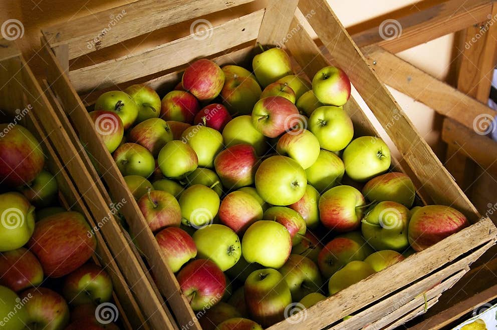 Box of Apples stock image. Image of sweet, apples, round - 34599005