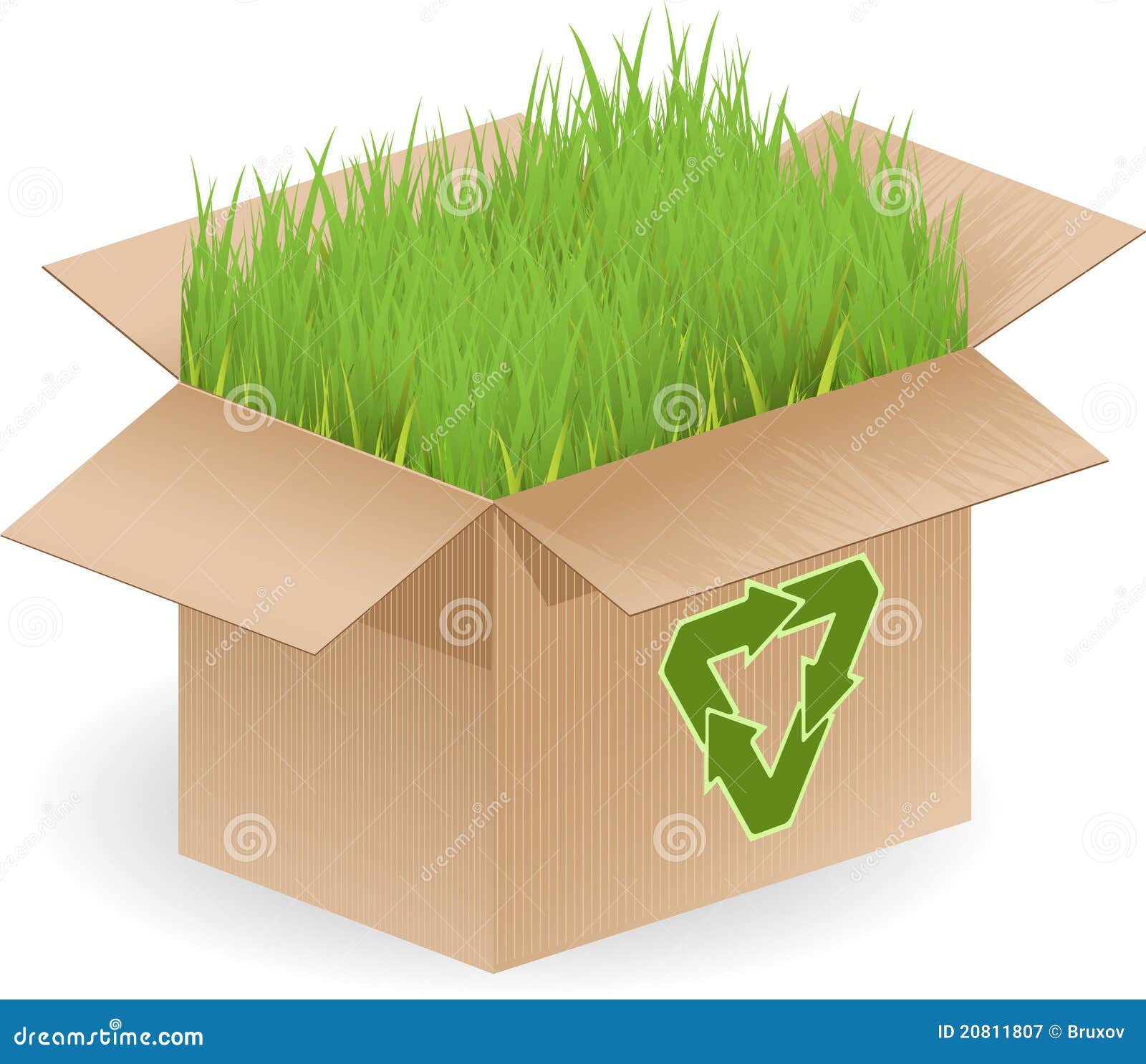 Box and arrow stock vector. Illustration of herb, icon - 20811807