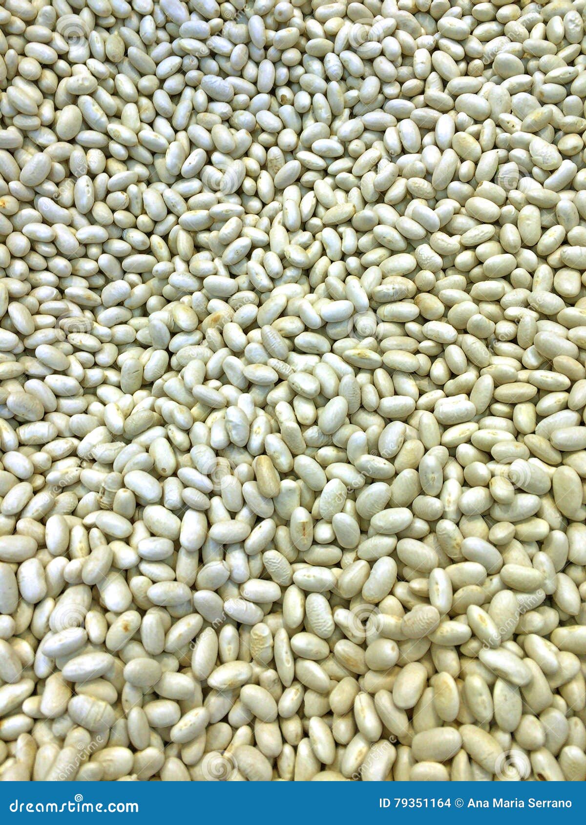 A box of beans stock photo. Image of shop, healthy, freshness - 79351164