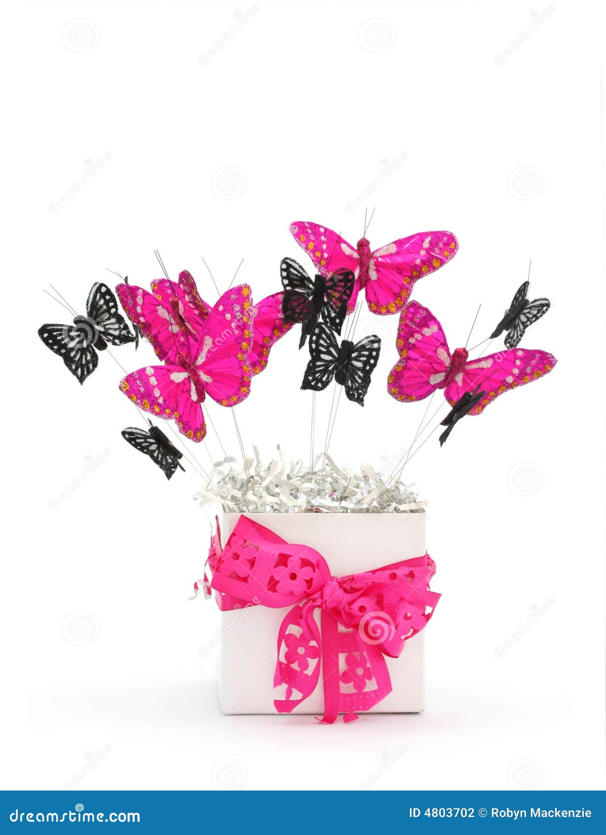 Box of Butterflies stock photo. Image of ornate, wrapping - 4803702