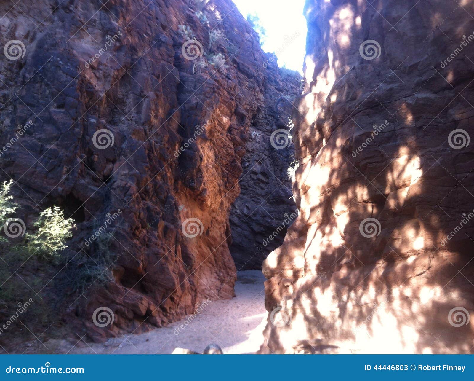 Box canyon stock image. Image of beautiful, desert, oasis - 44446803