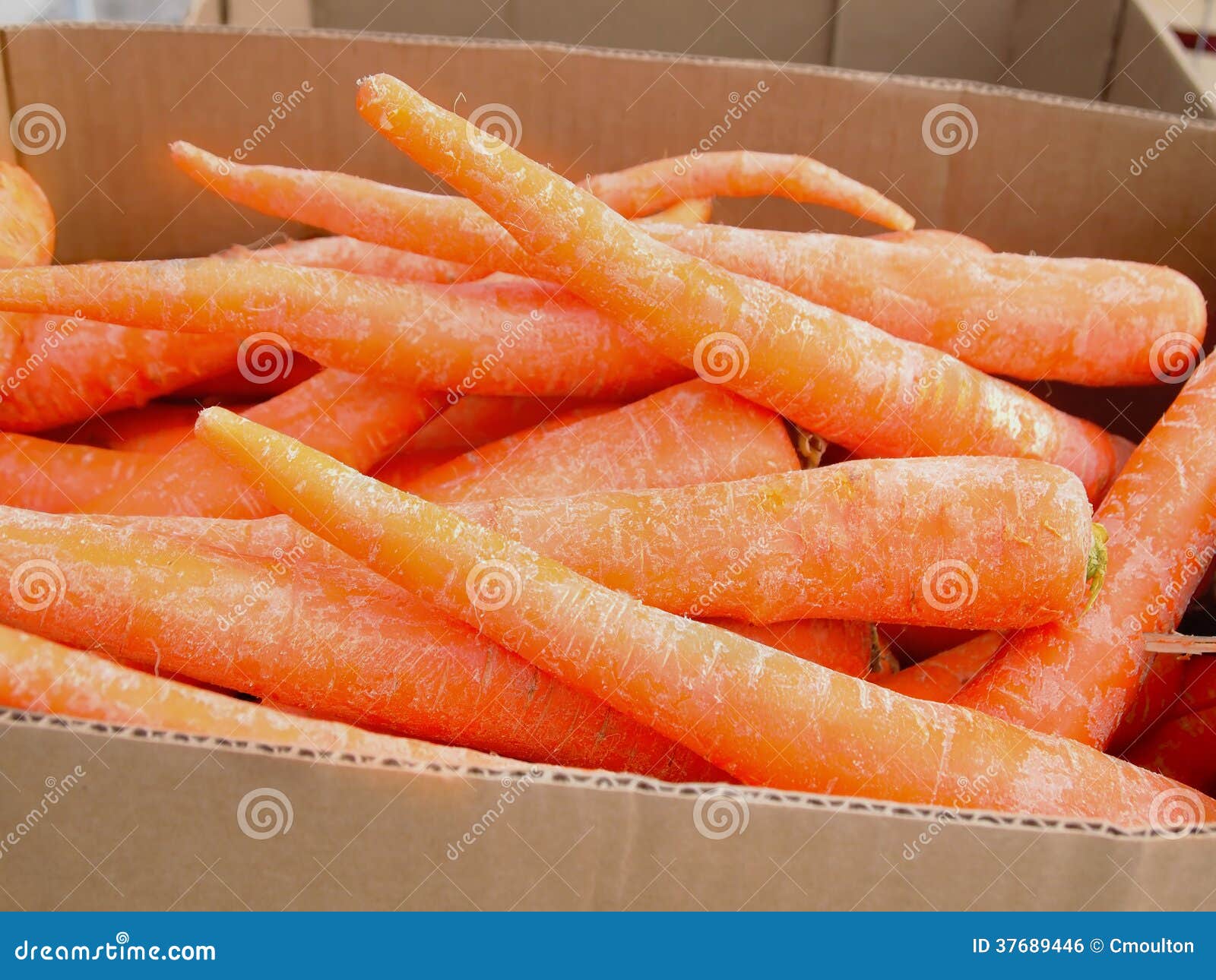 Box of Carrots stock photo. Image of produce, agriculture - 37689446