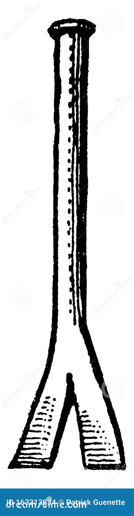 Box Chisel, Vintage Illustration Stock Vector - Illustration of tree ...