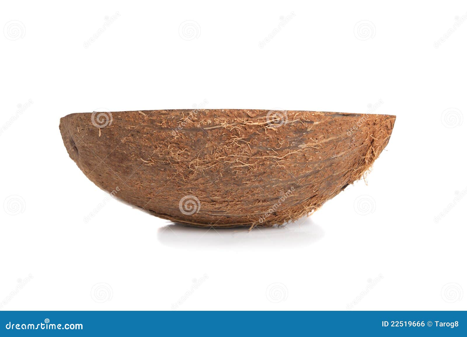 Box of Coconut Halves on White Stock Photo - Image of brown, ingredient ...