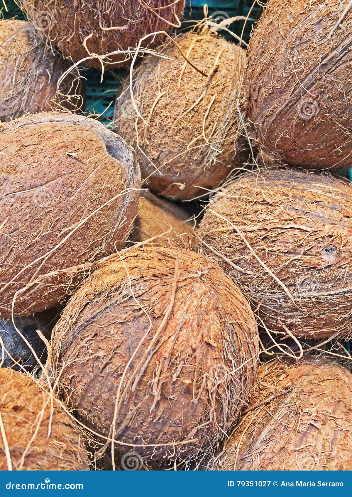 A box of coconuts stock image. Image of fruit, nutrition - 79351027