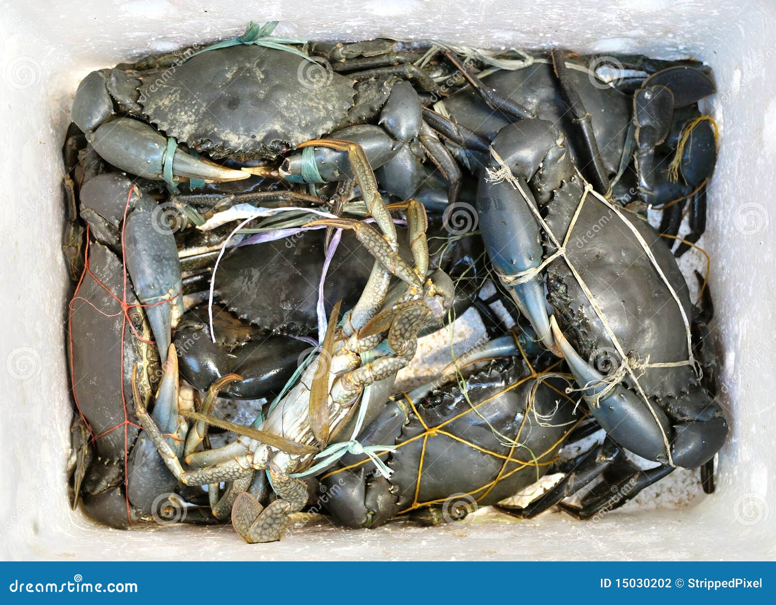Box of Crabs at Market stock photo. Image of asian, holiday - 15030202