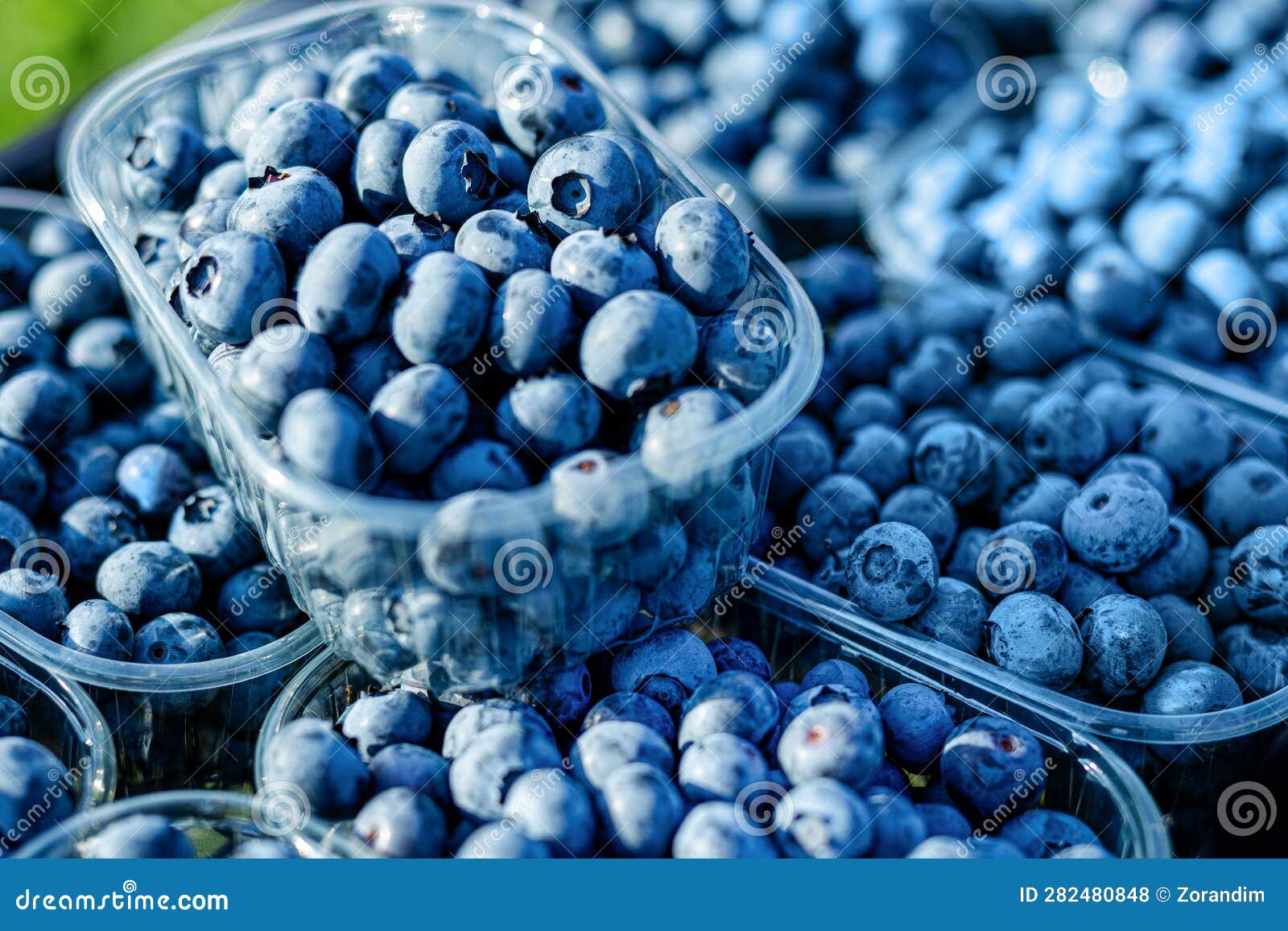 Box or Crate with Collected Fresh Blueberries Stock Photo - Image of ...