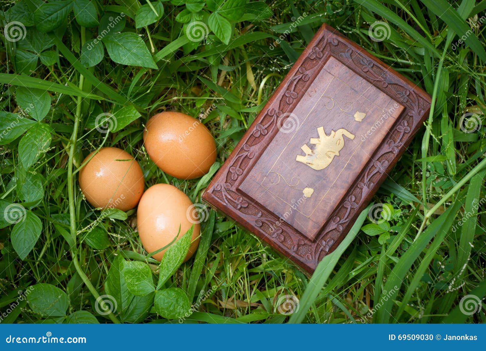 Box and Eggs Close Up on Grass, Secret Box Concept Stock Photo - Image ...