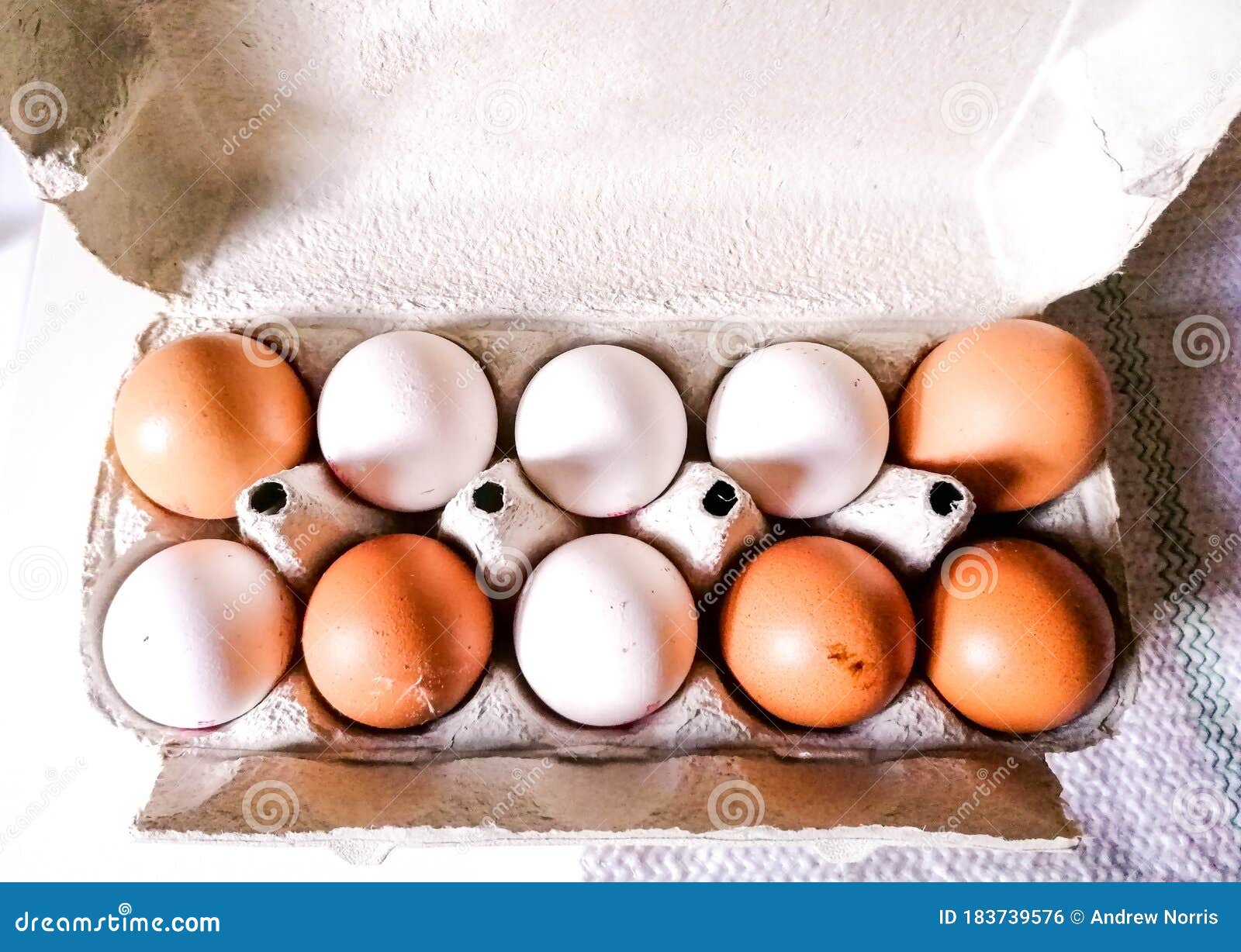 Box of Eggs stock photo. Image of eggs, ready, copy - 183739576