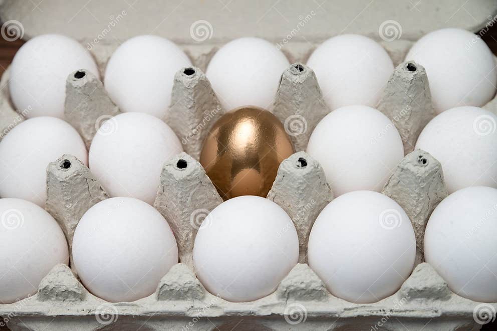 Box of Expensive Eggs with a Golden Egg. Stock Photo - Image of organ ...