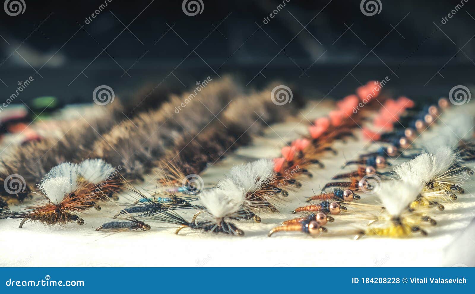 Box with fly flies stock photo. Image of equipment, insect - 184208228