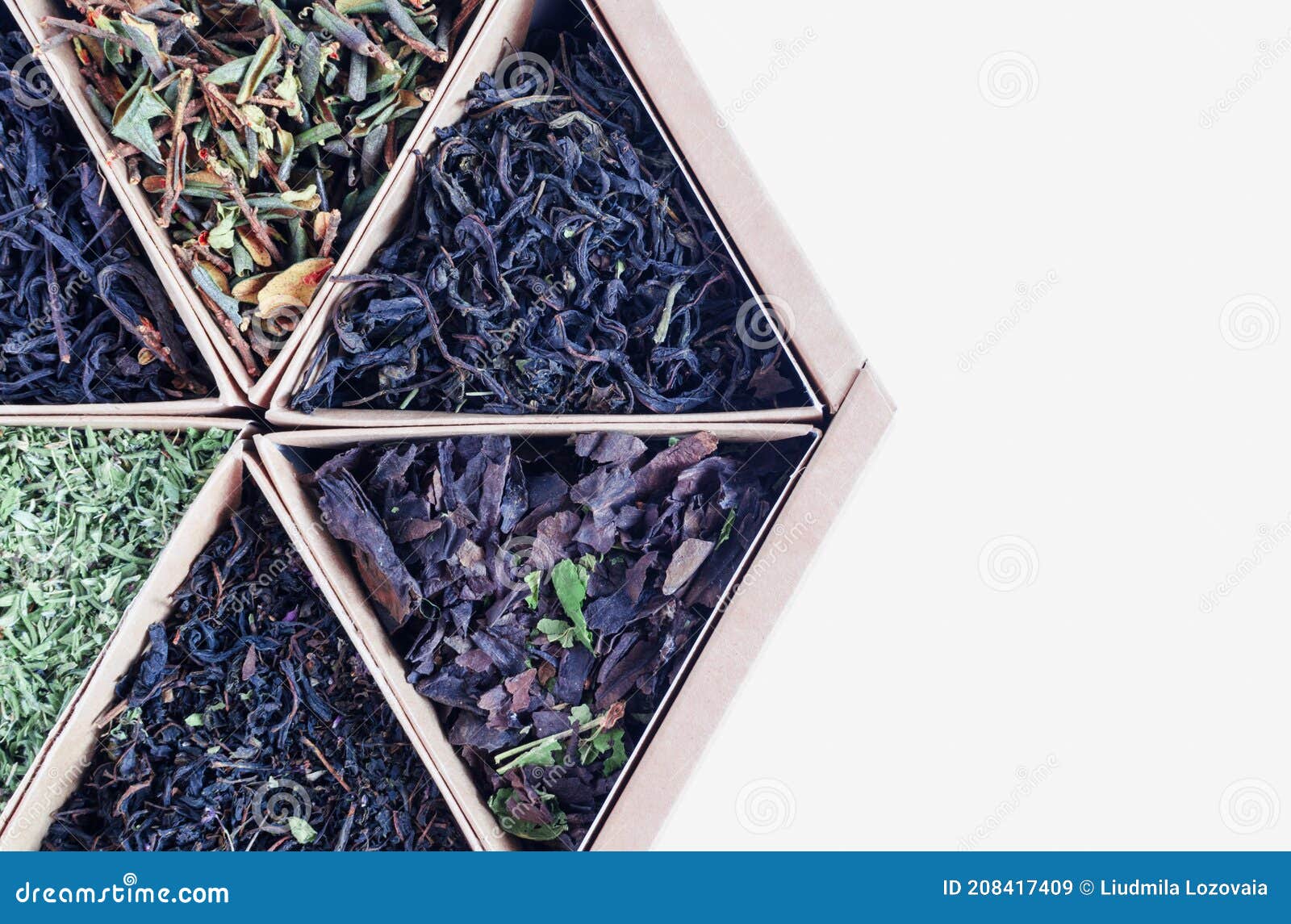 A Box of Forest Herb Teas Close Up Assorted Teas Stock Image - Image of ...