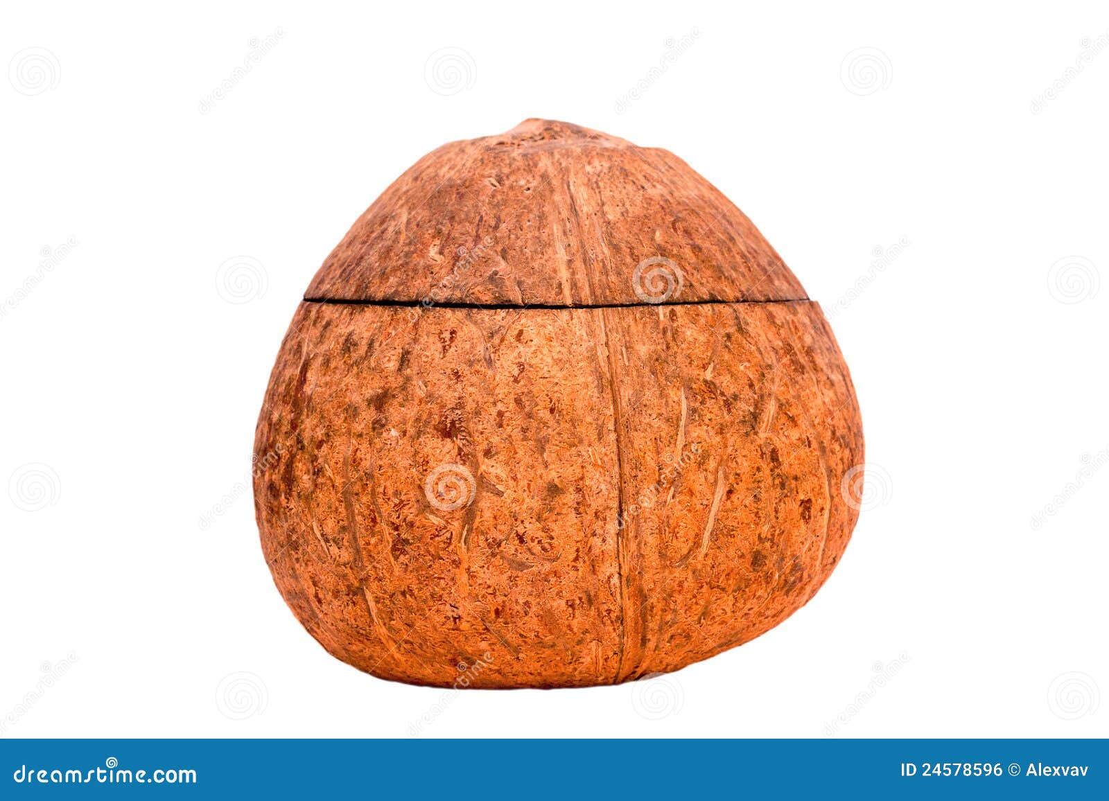 Box in the form of coconut stock photo. Image of isolated - 24578596