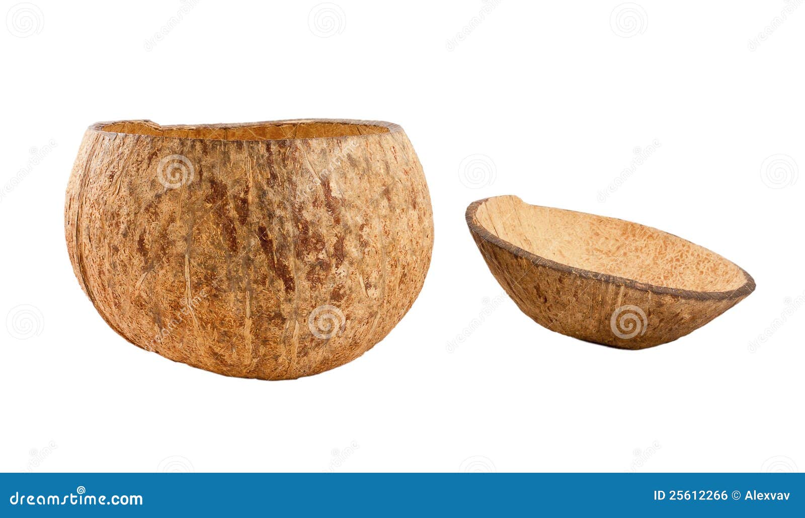 Box in the form of coconut stock photo. Image of fruit - 25612266