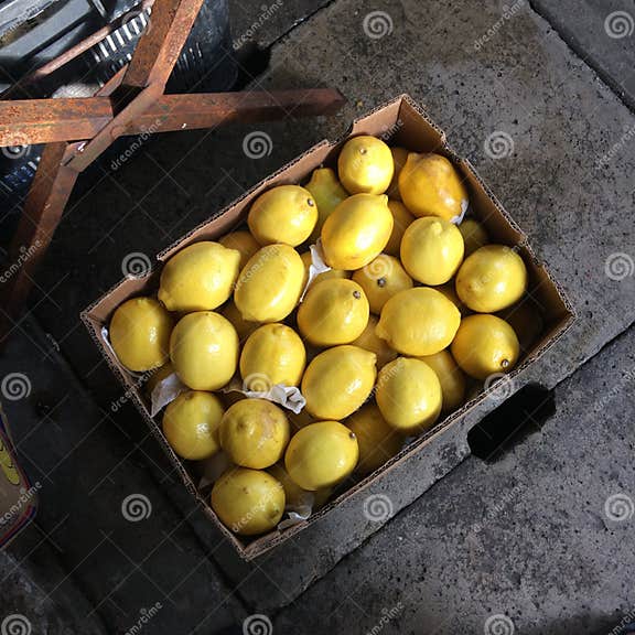 A box of fresh lemon stock image. Image of paper, fresh - 97297841