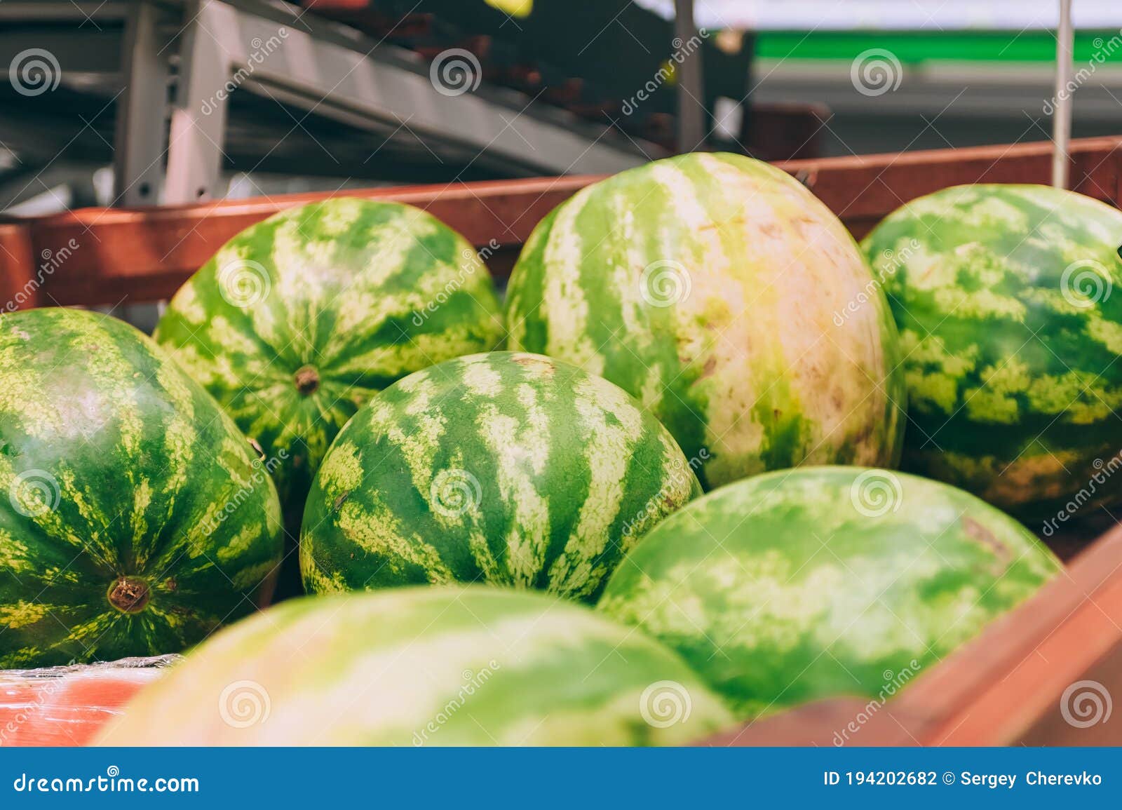 A Box of Fresh Watermelon in a Supermarket Stock Photo - Image of ...