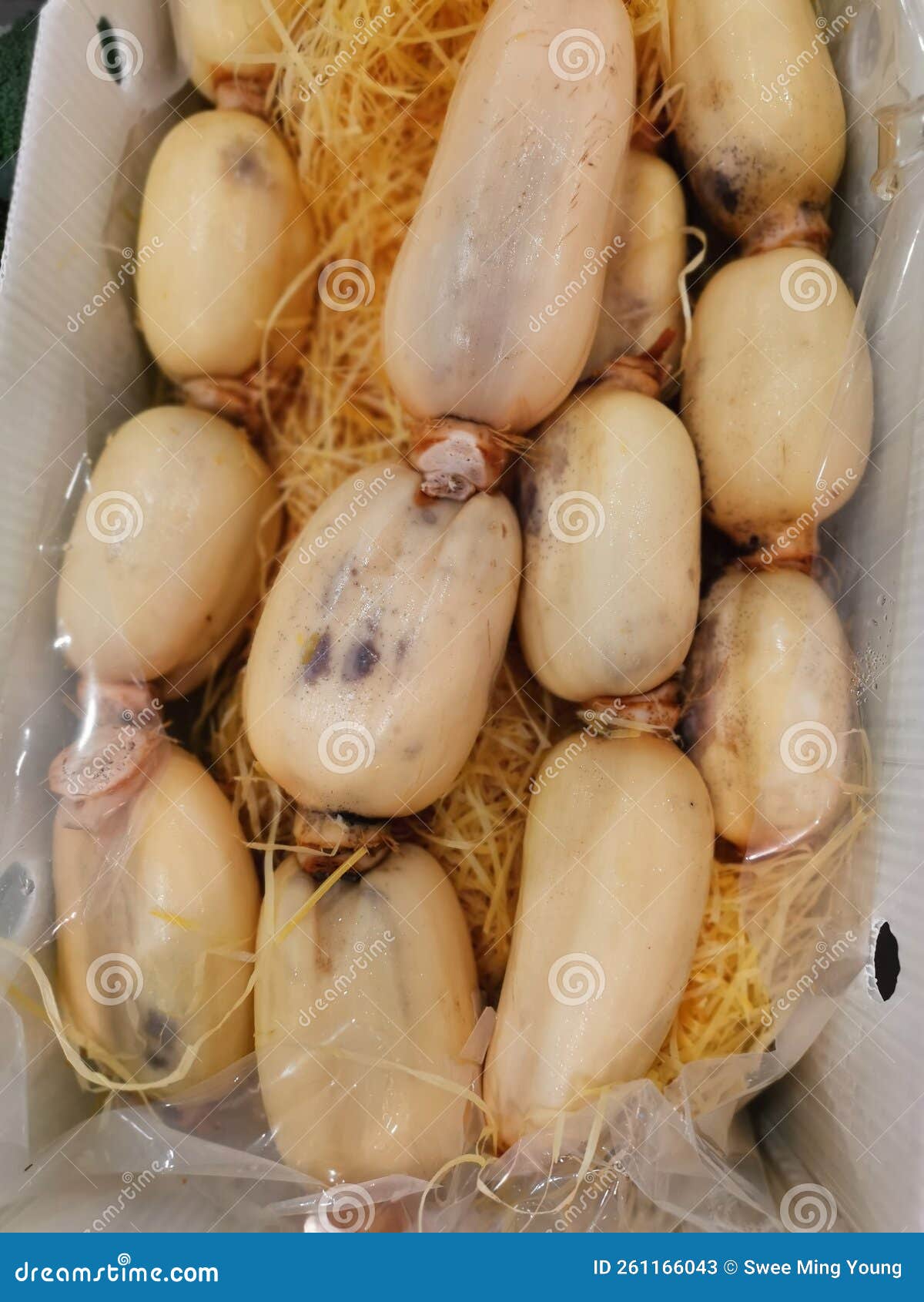 A Box of Fresh White Lotus Rhizome Roots Vegetable. Stock Image - Image ...