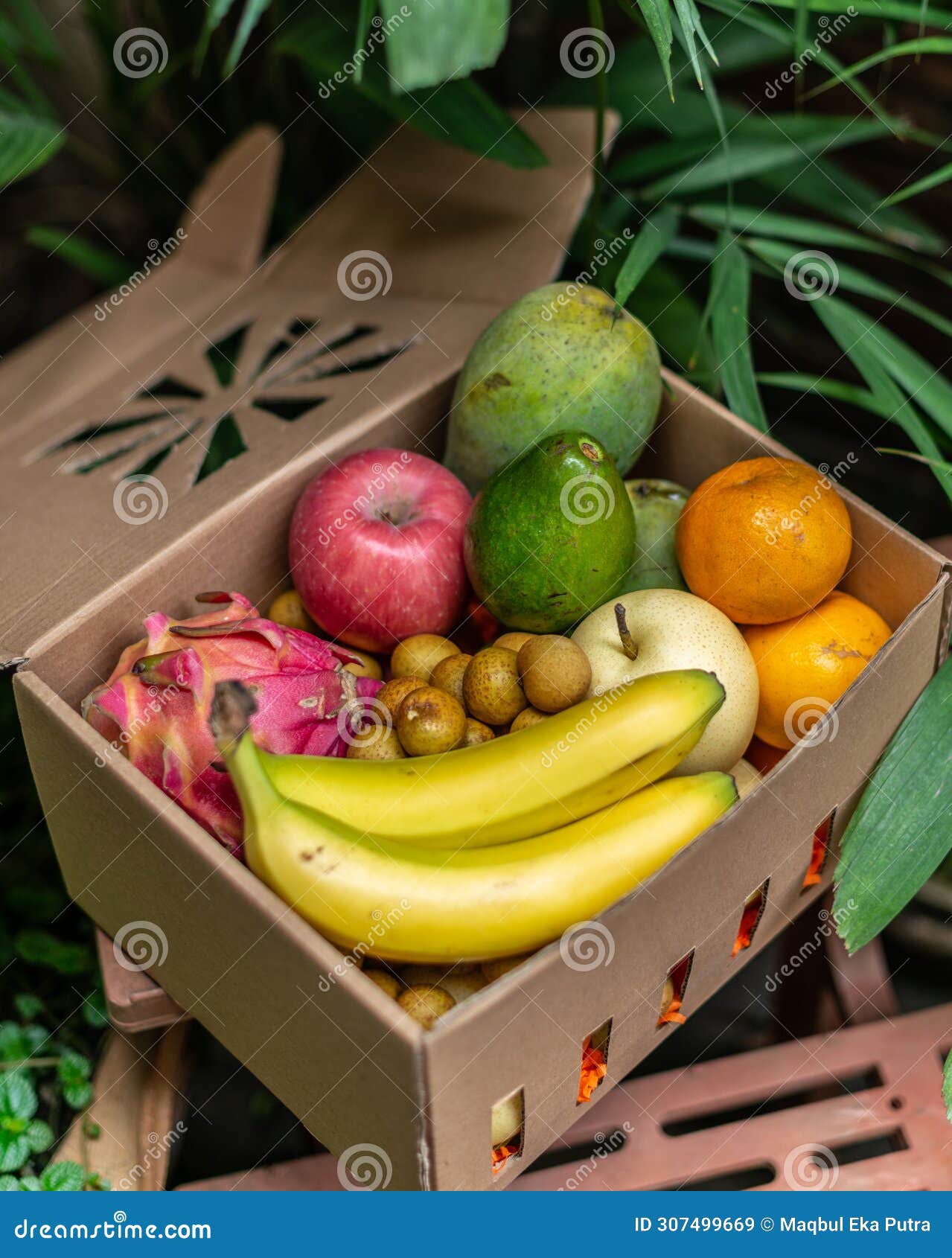 Box of fruits stock image. Image of angle, cuisine, full - 307499669