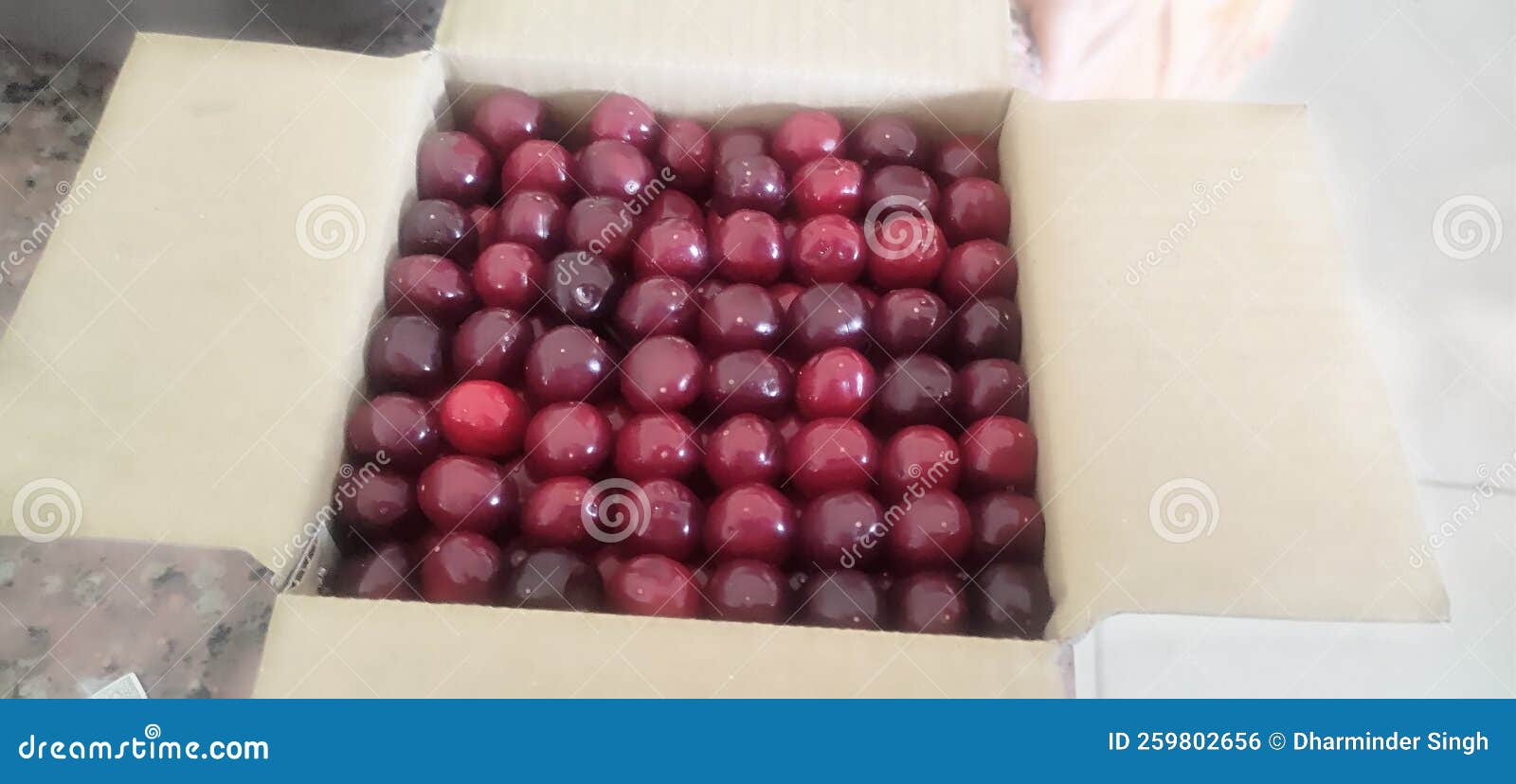 A box full of cherries stock photo. Image of petal, plant - 259802656