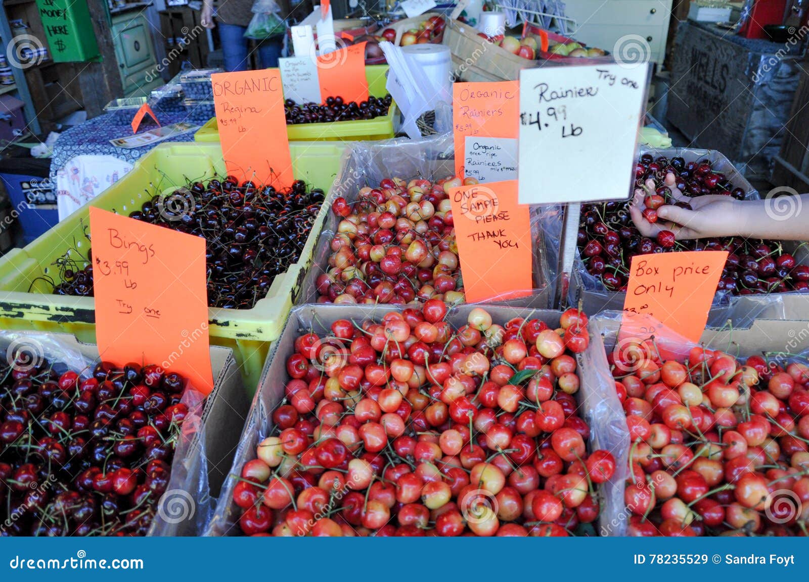 Box Full of Cherries editorial stock image. Image of boxes - 78235529