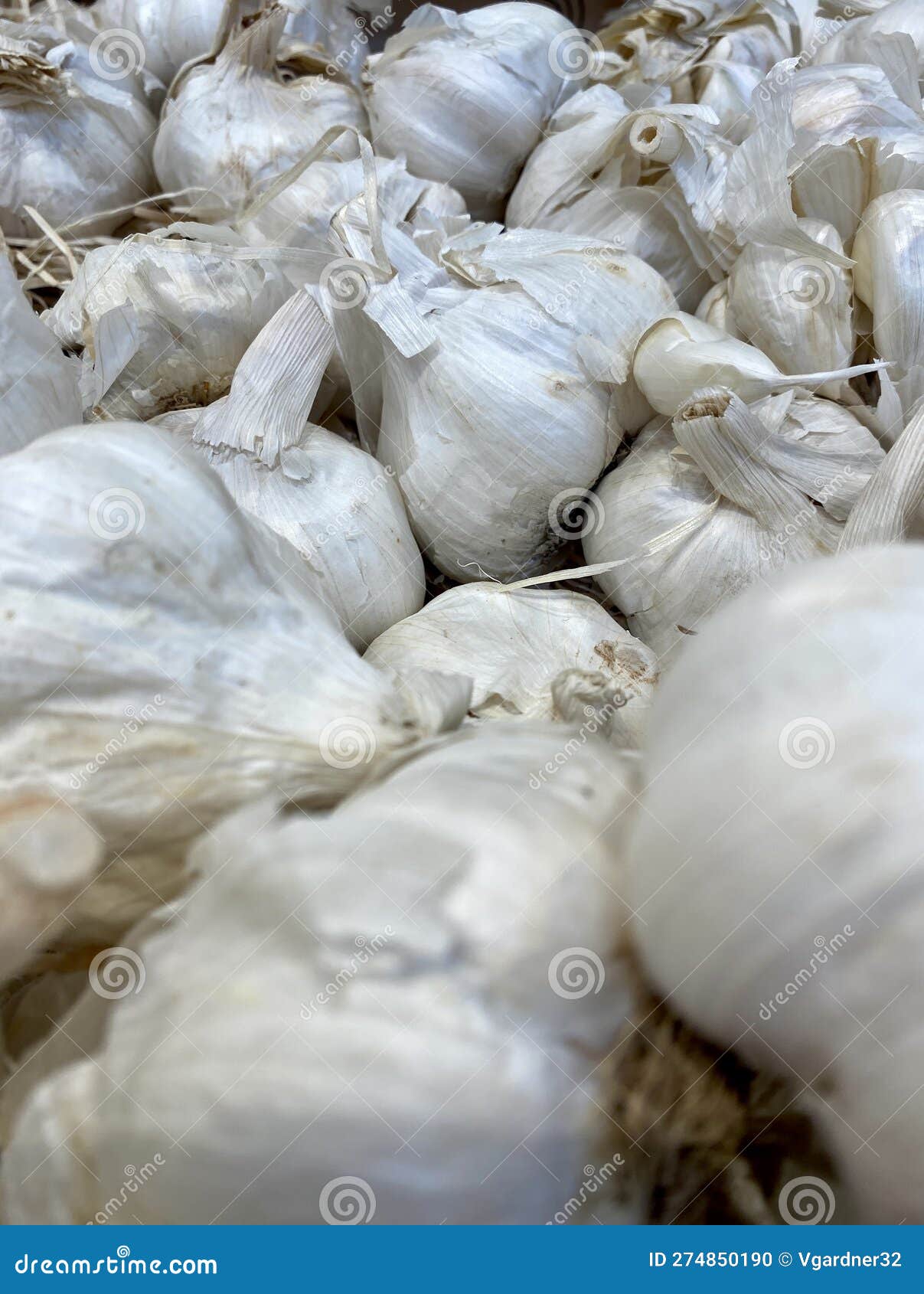 Box full of garlic stock photo. Image of garlic, food - 274850190