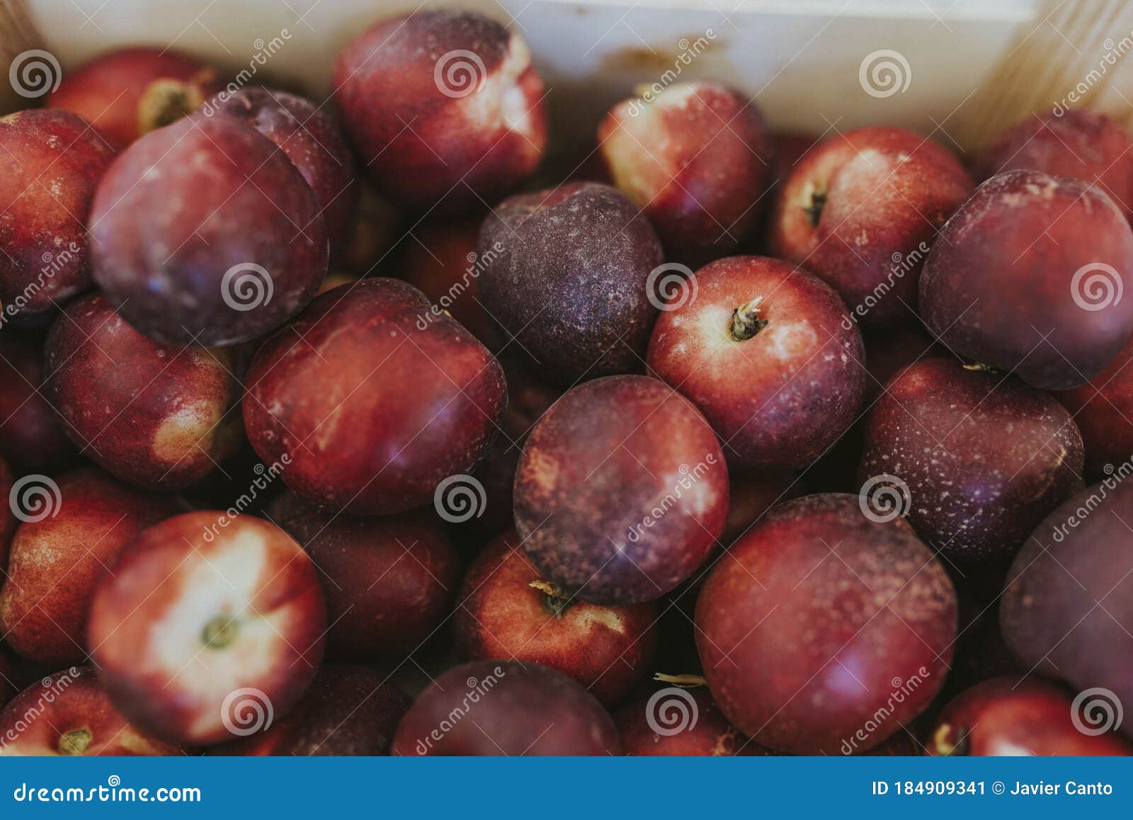 Box Full of Nectarines after Harvesting Stock Image - Image of ...