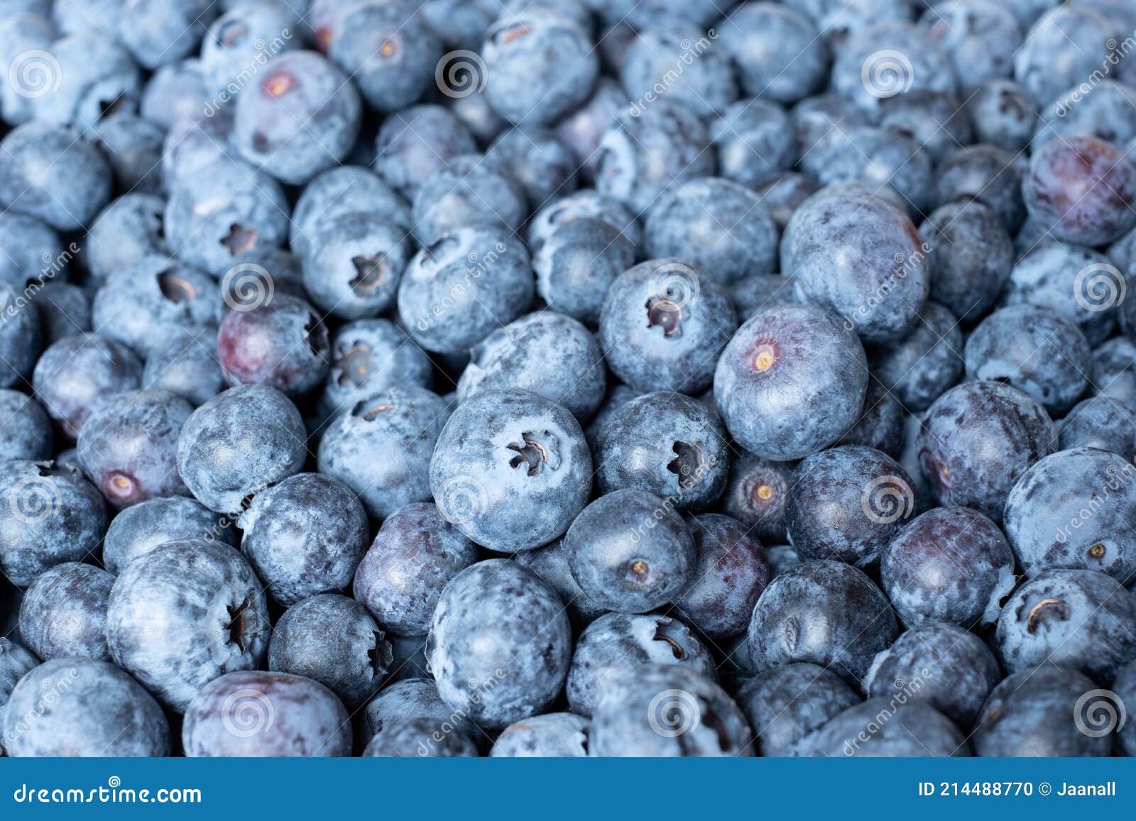 Box Full of Perfect Fresh Blueberries. Full Frame Background Stock ...
