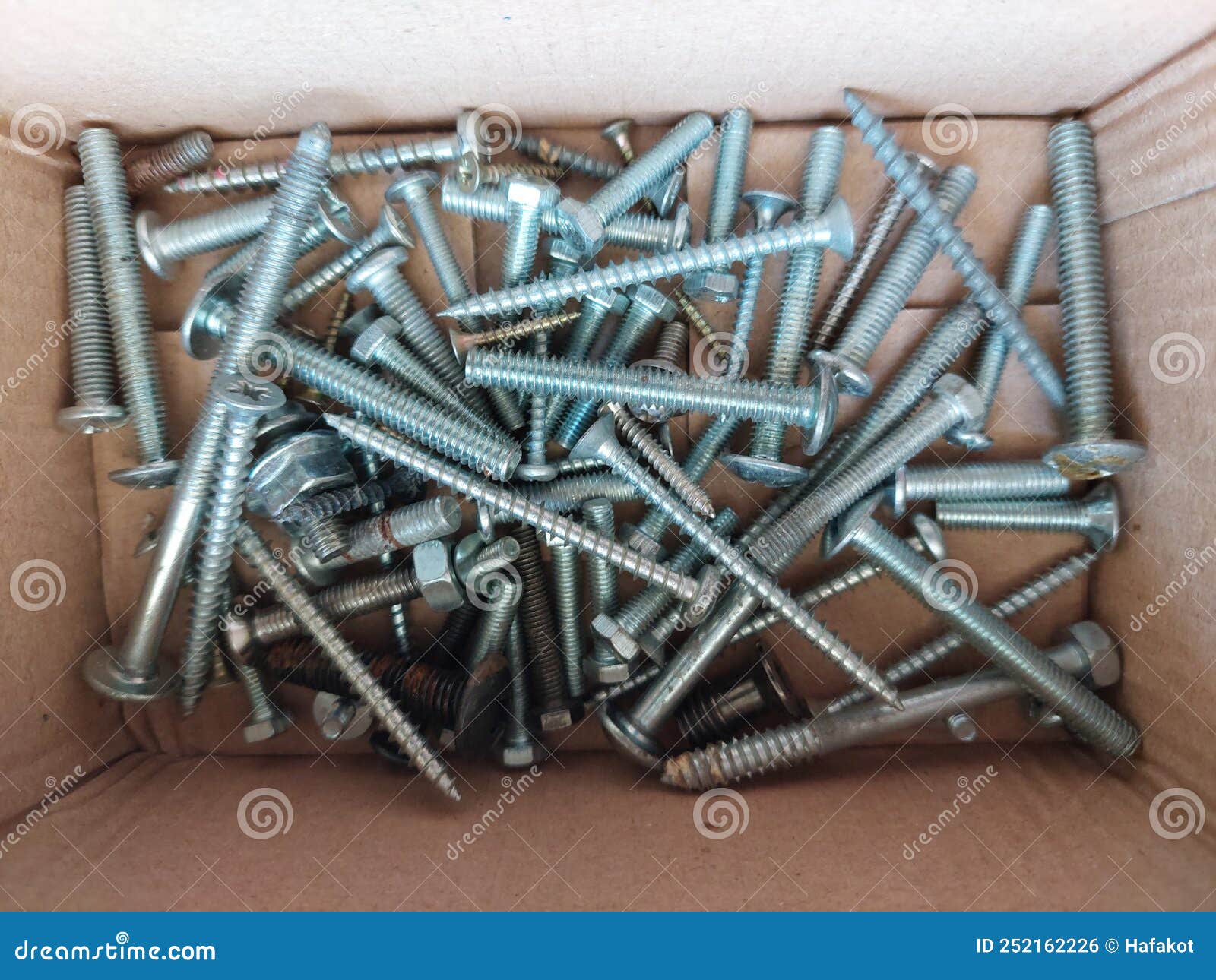 Box Full of Screws for DIY Projects Stock Photo - Image of branch ...