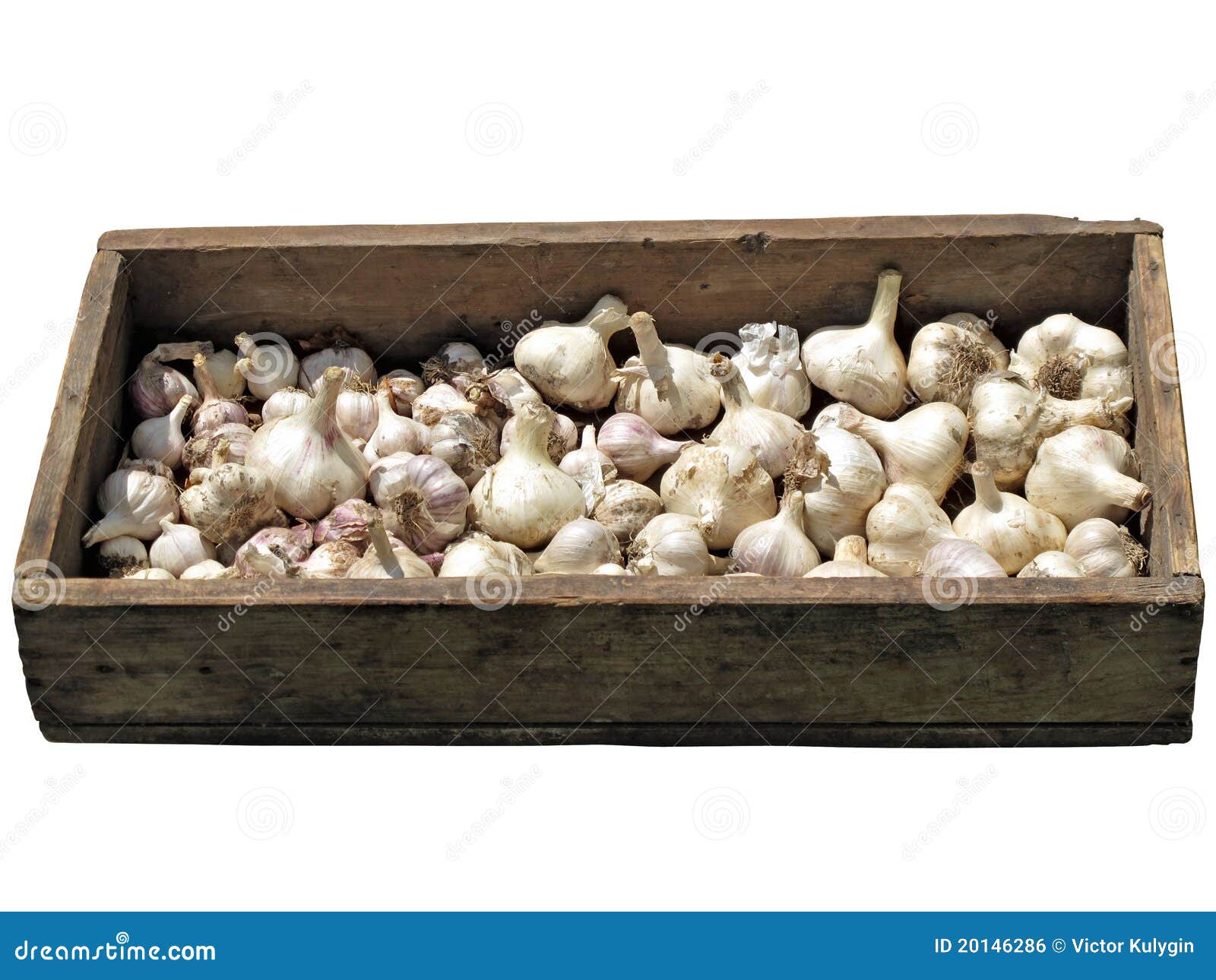 Box with garlic stock photo. Image of tasty, health, garlic - 20146286