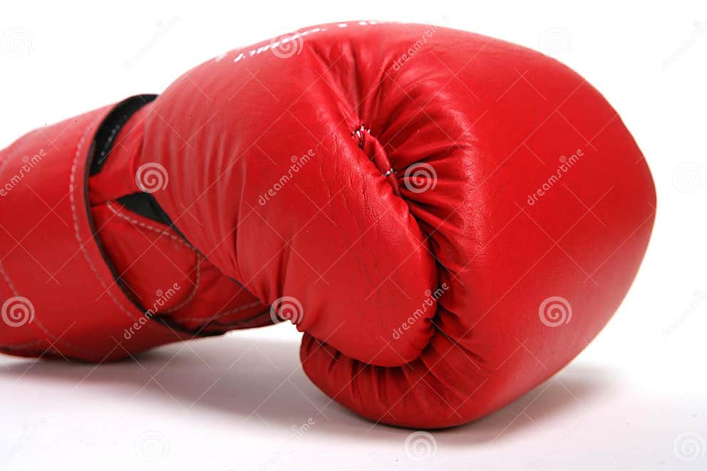 Box Gloves stock photo. Image of campain, boxer, ring, rally - 196982