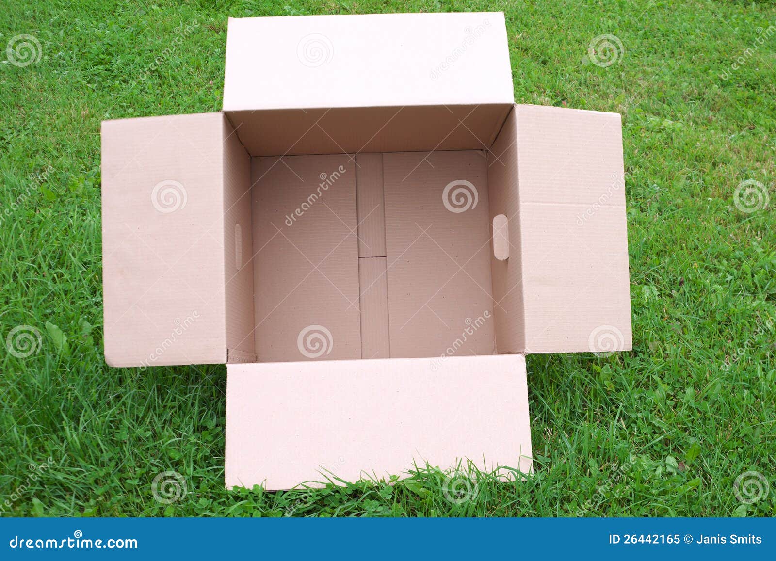Box in grass. stock image. Image of meadow, cardboard - 26442165