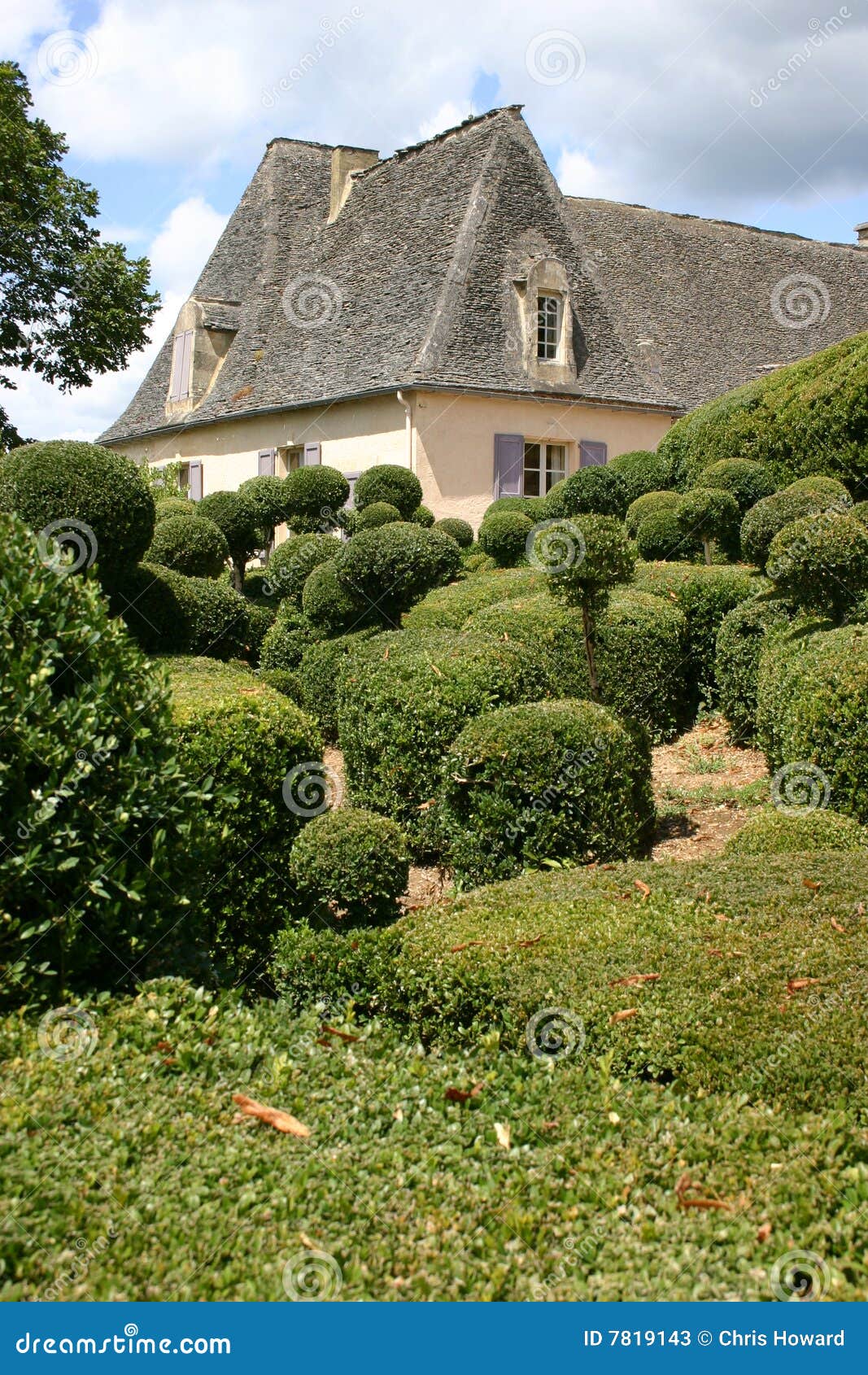 Box Hedge with House stock image. Image of walls, bushes - 7819143