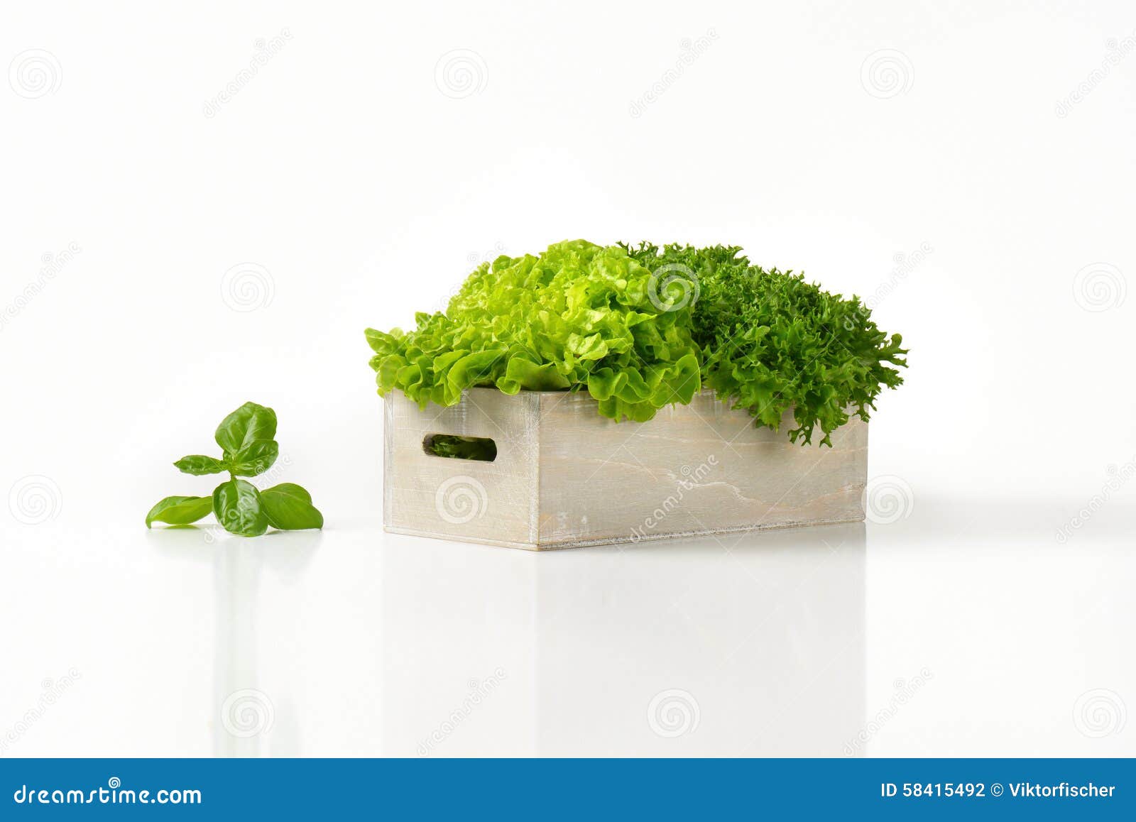 Box of lettuce stock photo. Image of package, clean, healthy - 58415492
